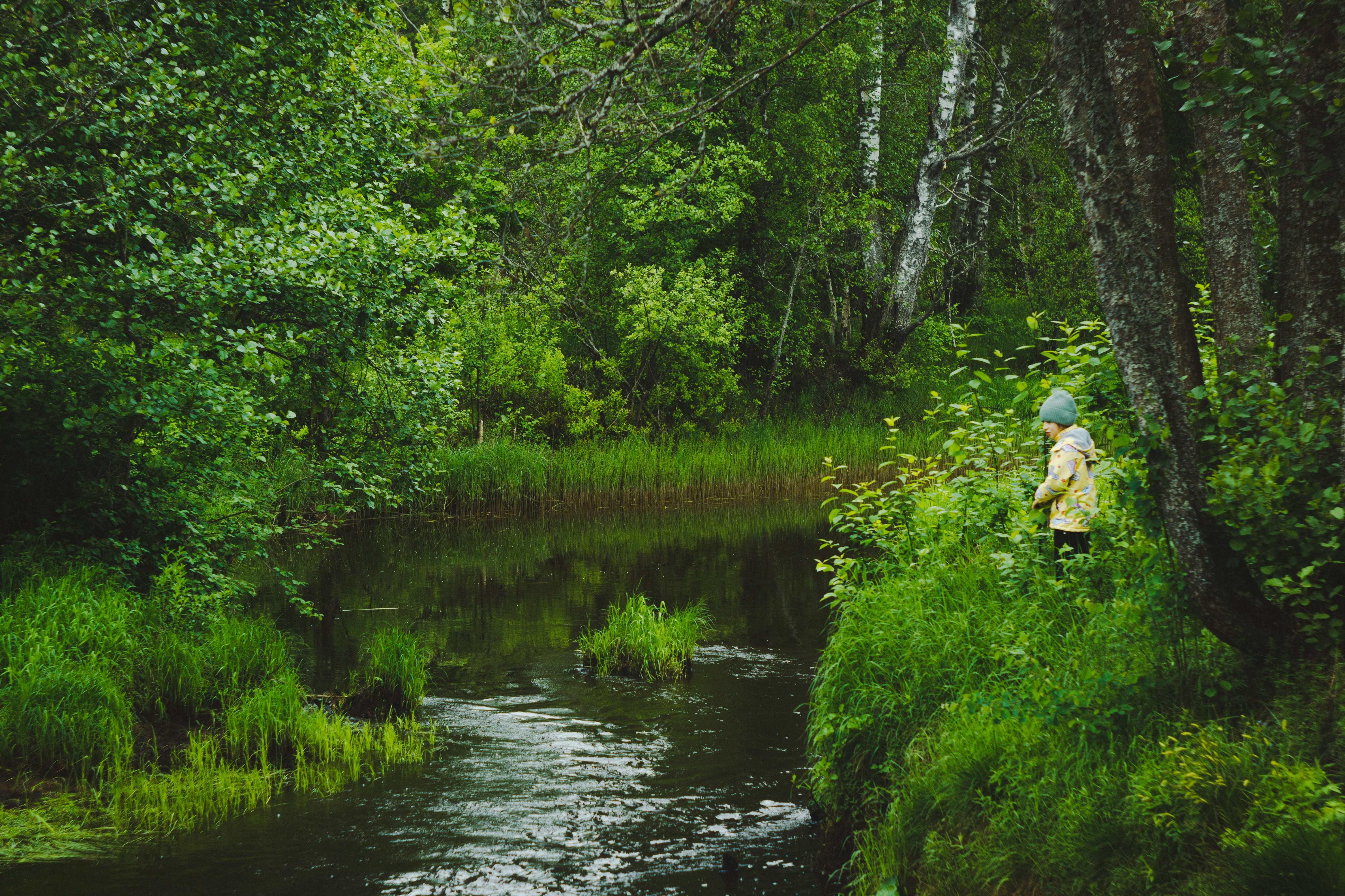 A Quiet Riverbank Encounter