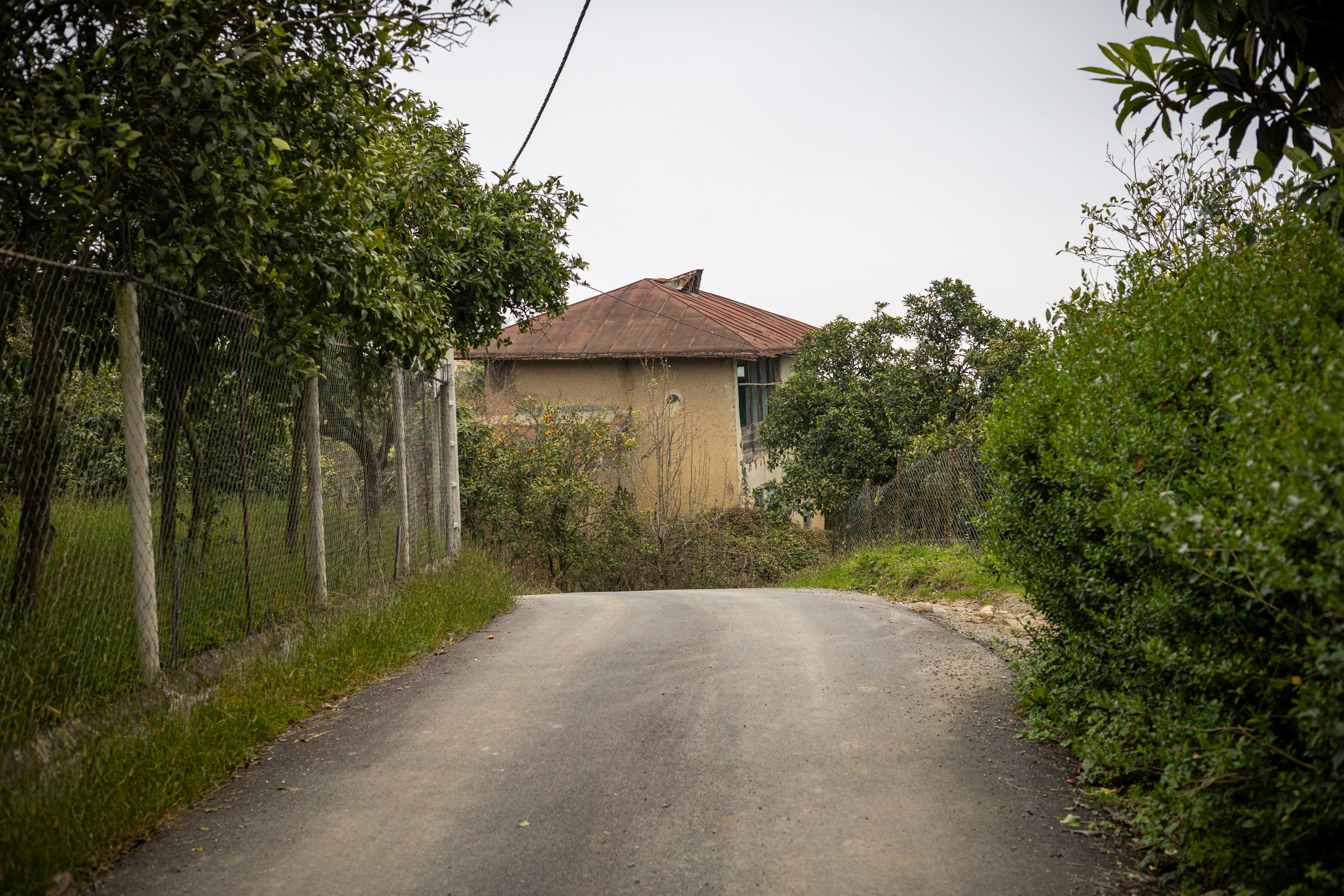 Rural Driveway to a Quiet House