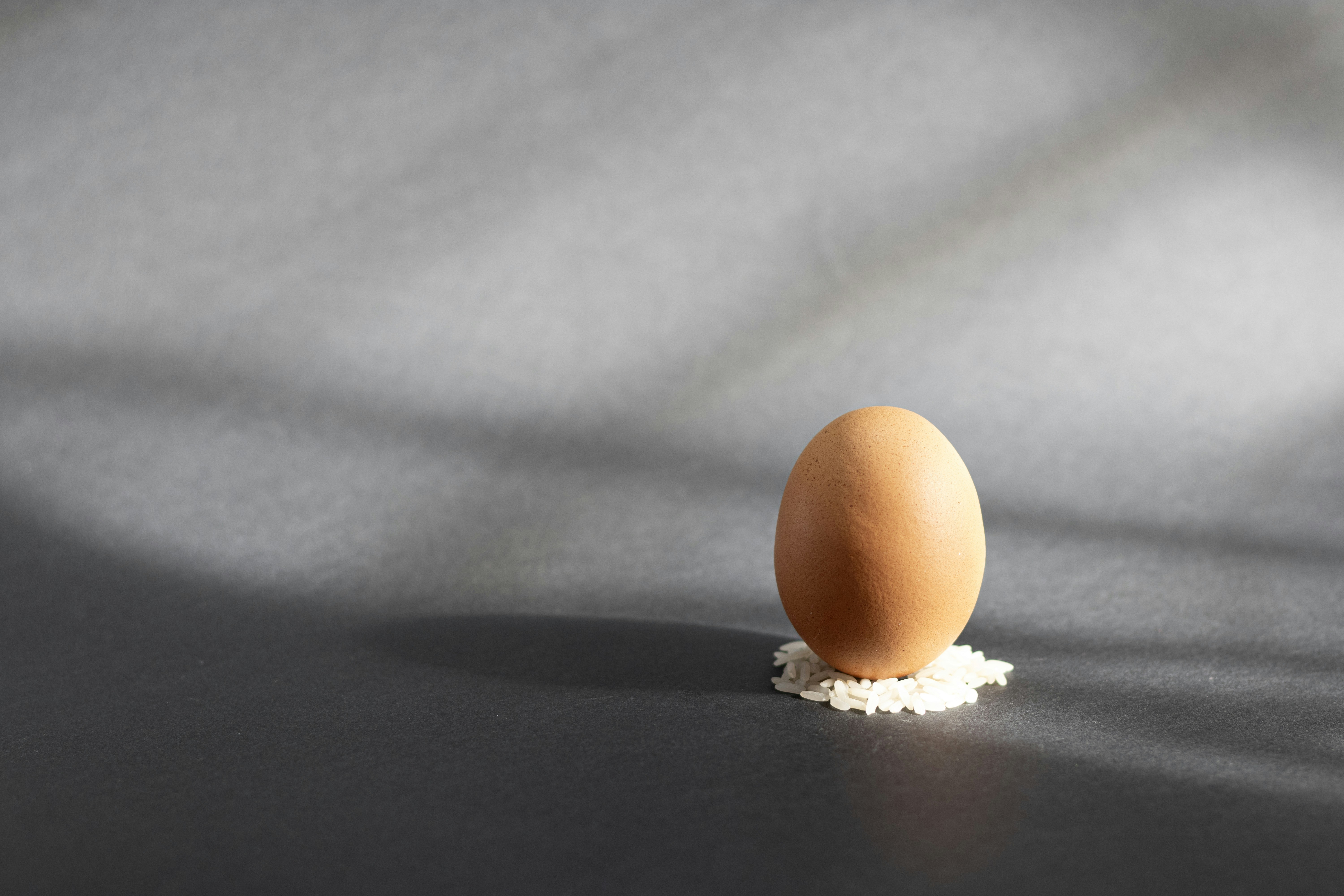 A solitary egg rests on a small bed of rice under soft, directional light, casting a gentle shadow on a smooth surface.