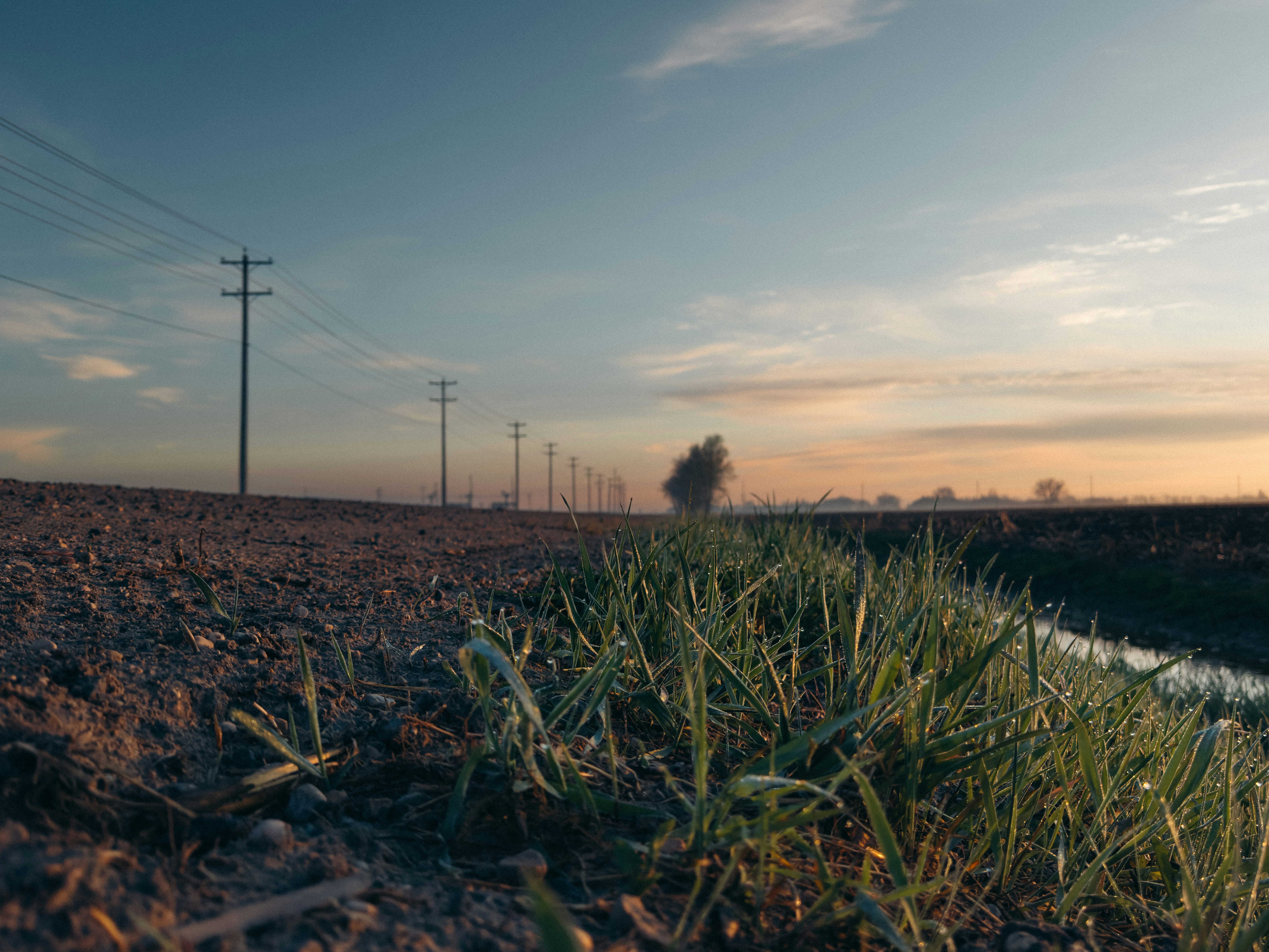 Dusty Field Edge: Grass in the Foreground with Linear Power Lines