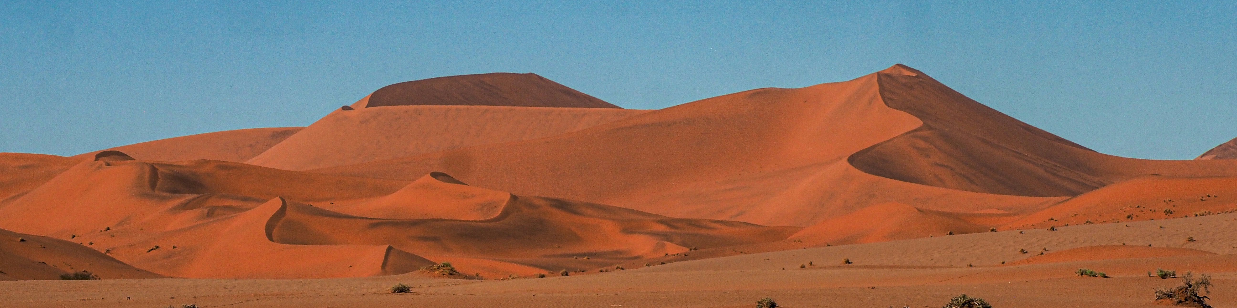 Dune Choir: Sunlit Ridges Tracing the Silent Sky