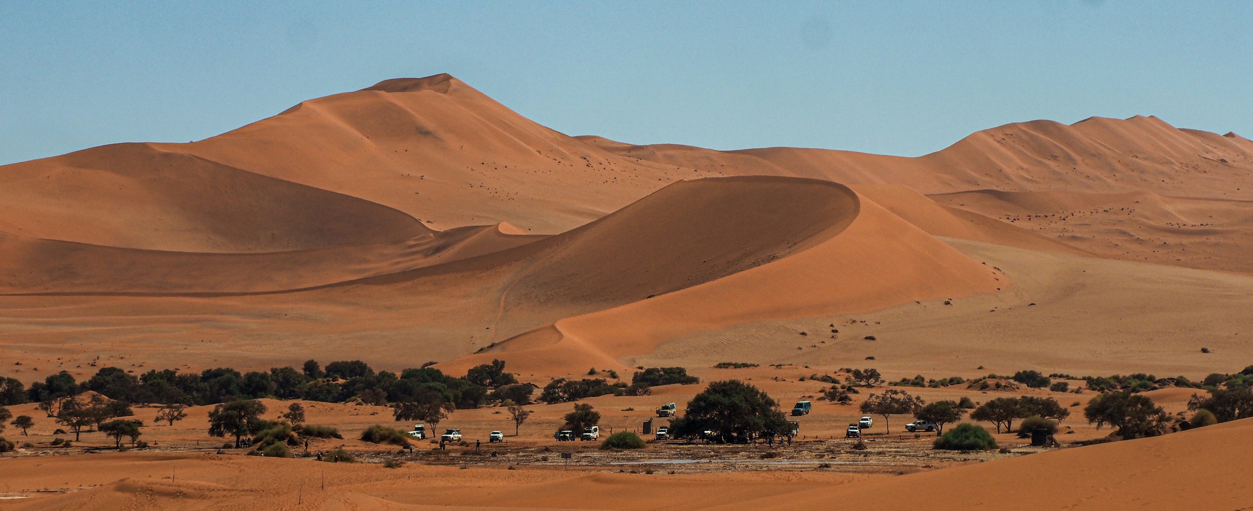 Orange sand dunes and green trees in a desert landscape. photo – Free ...