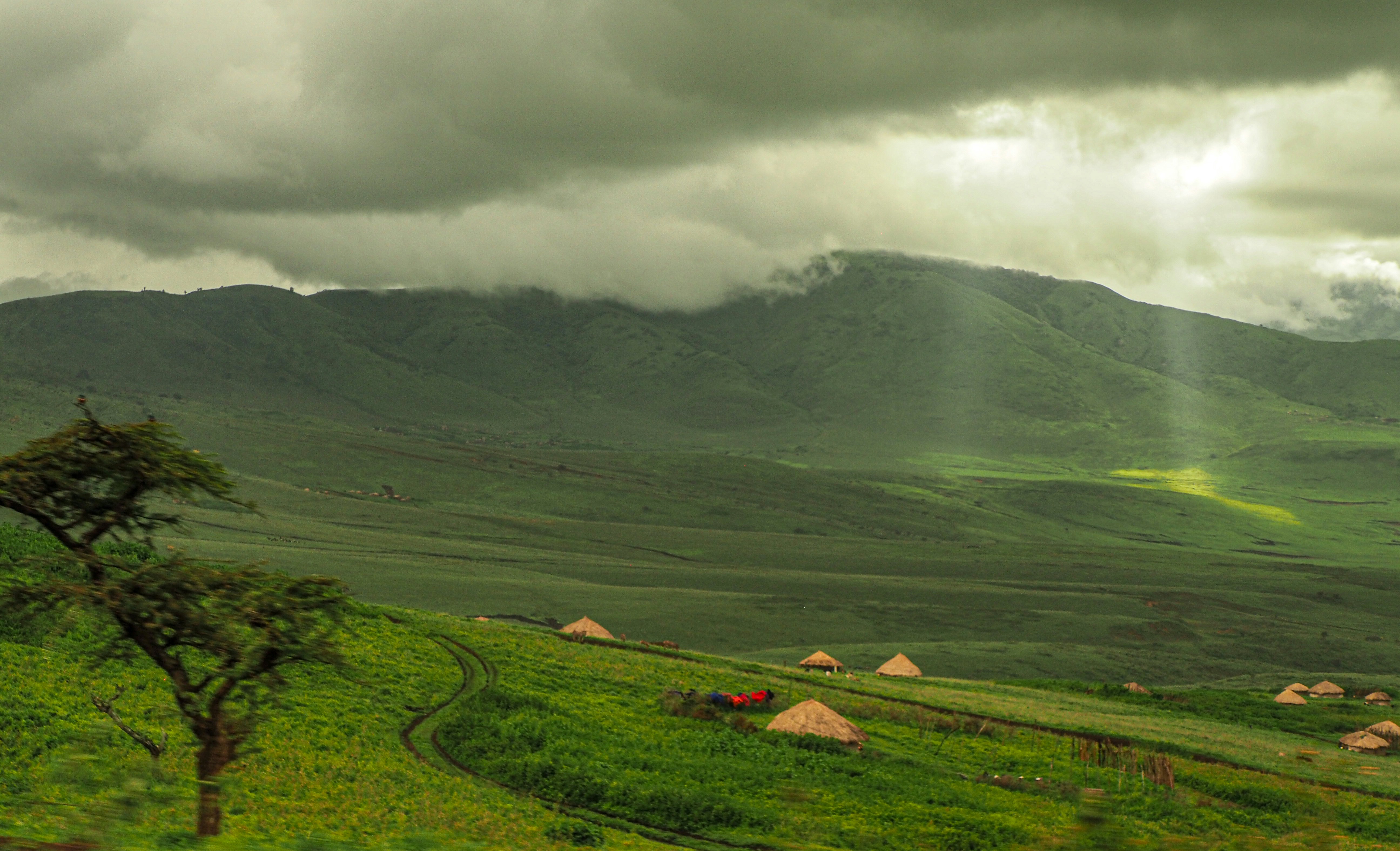 Rolling Green Valleys under Stormy Veil