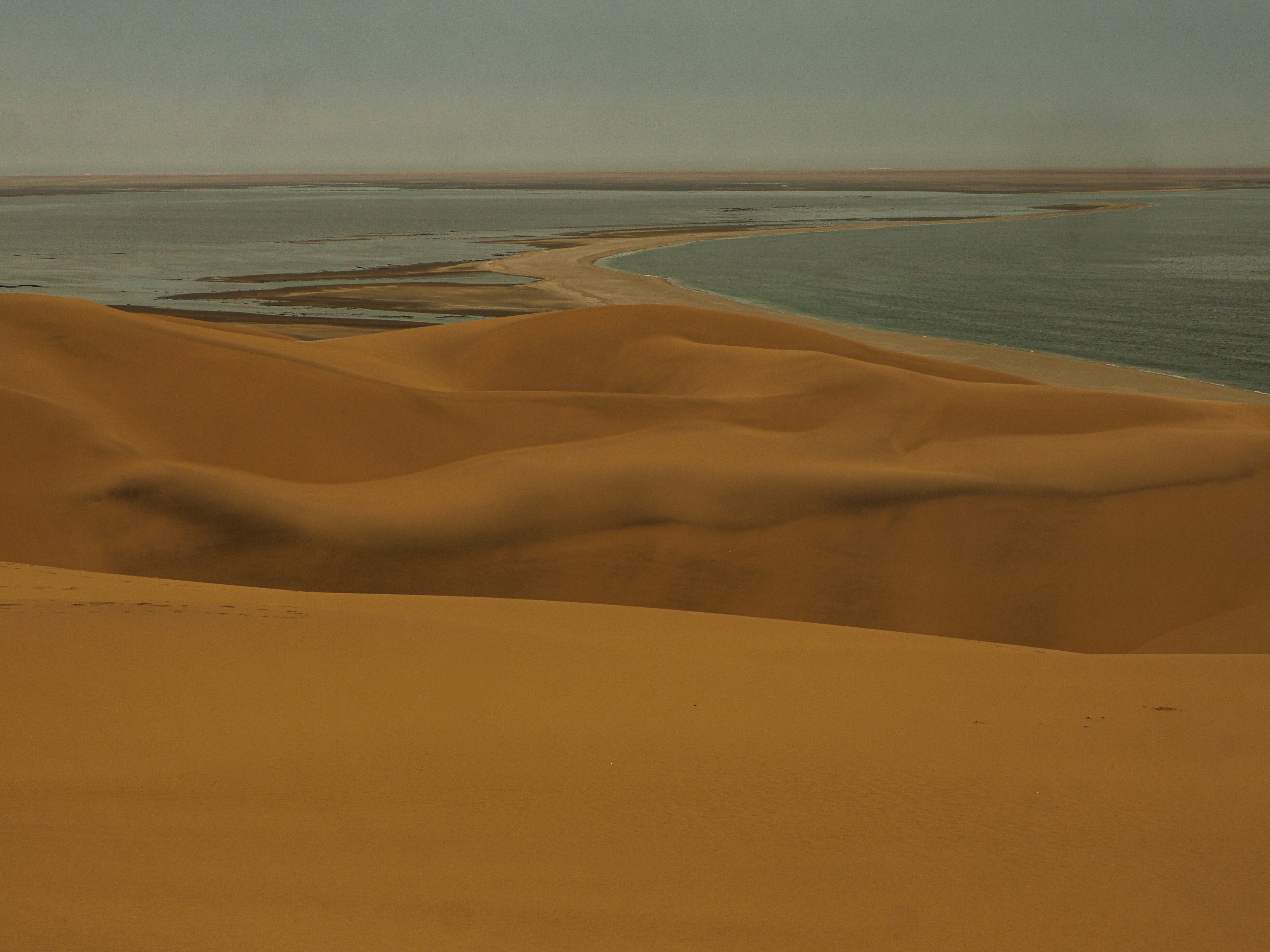 Edge of Quiet Dunes: Where Sand Meets Saltwater Horizon