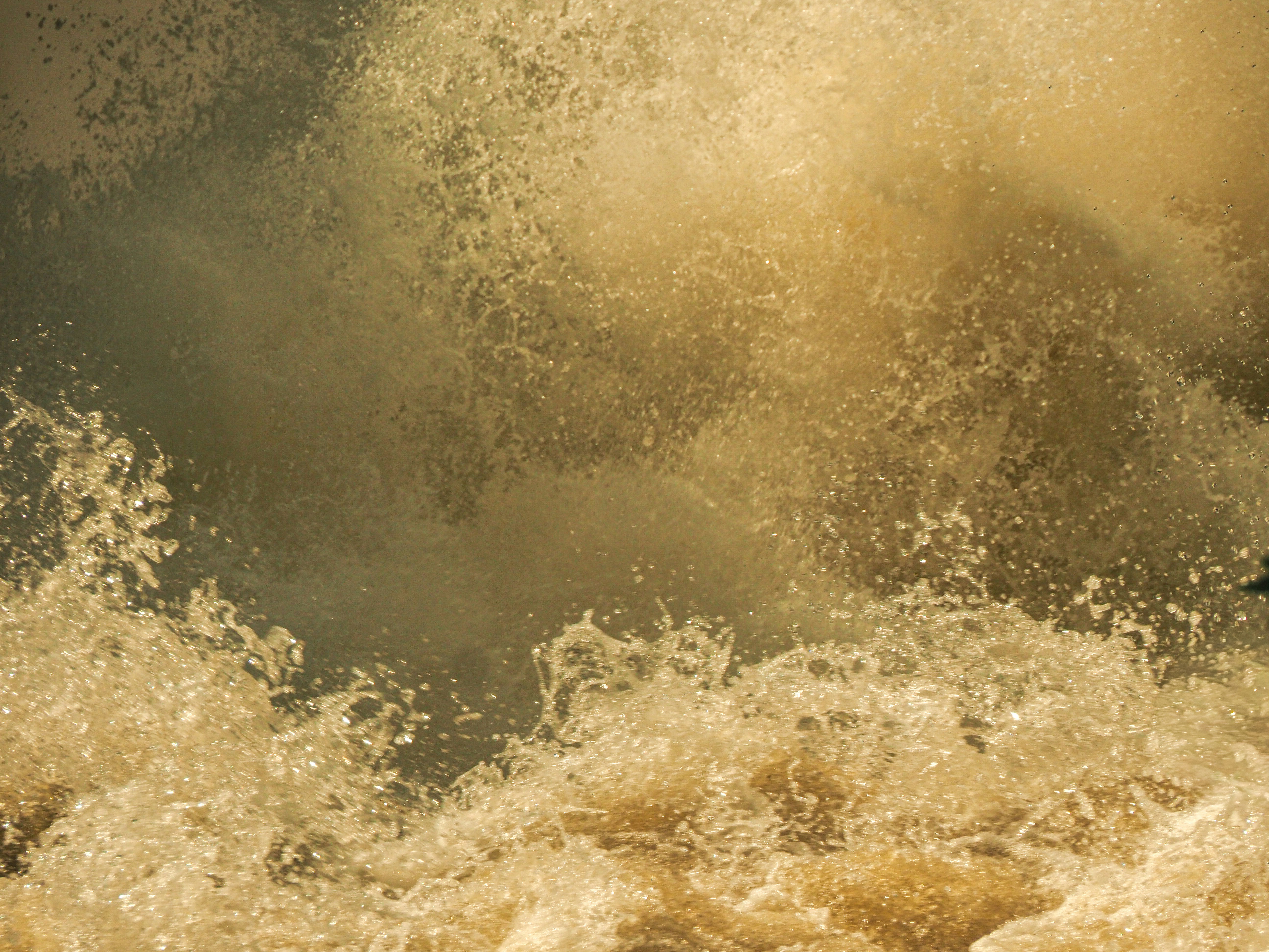 Golden Crest: Sunlit Foam Rolling Across a Coastal Break