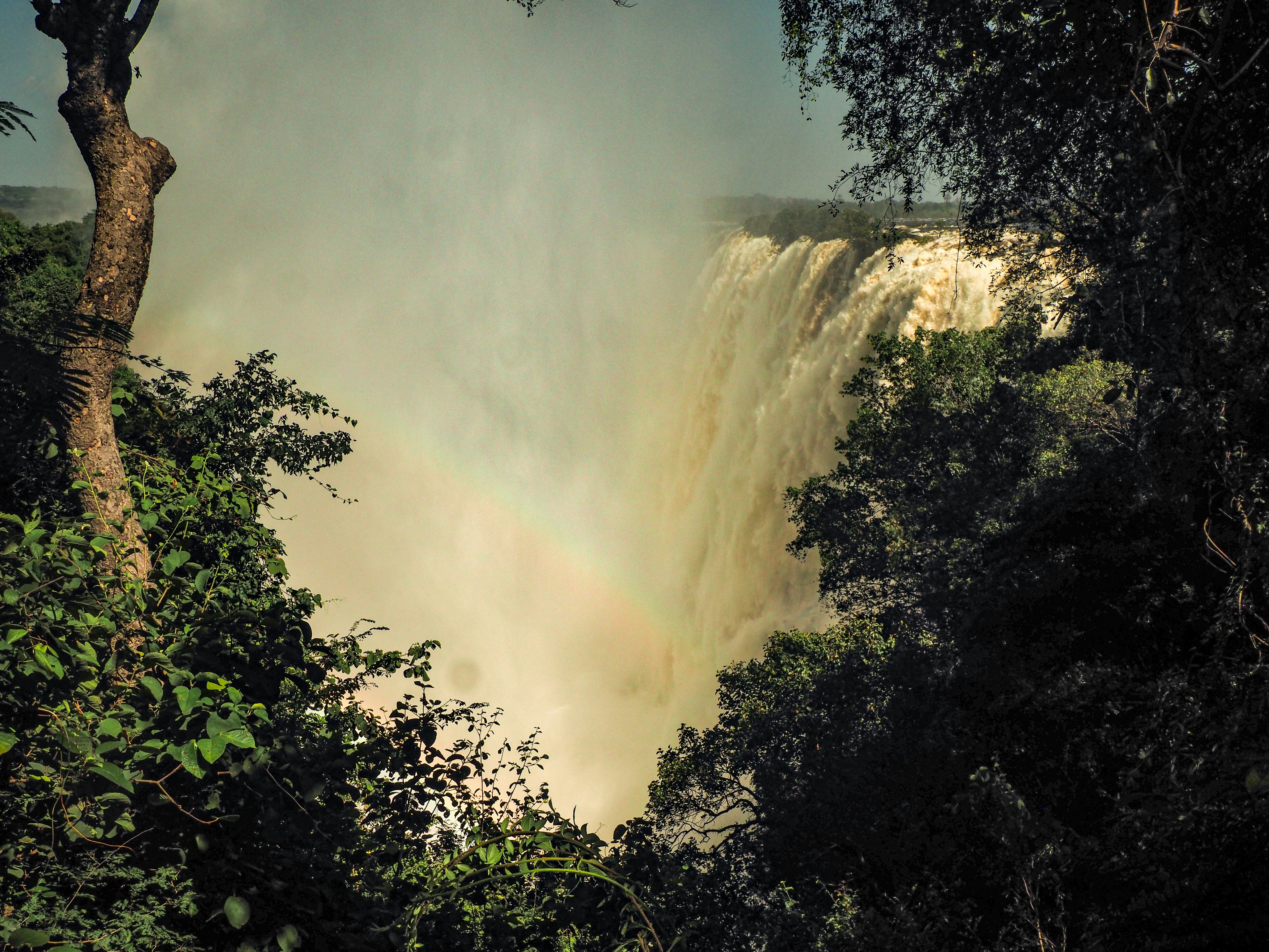 A Rainbow over the Thunderous Veil: Mist and Light at Iguazu