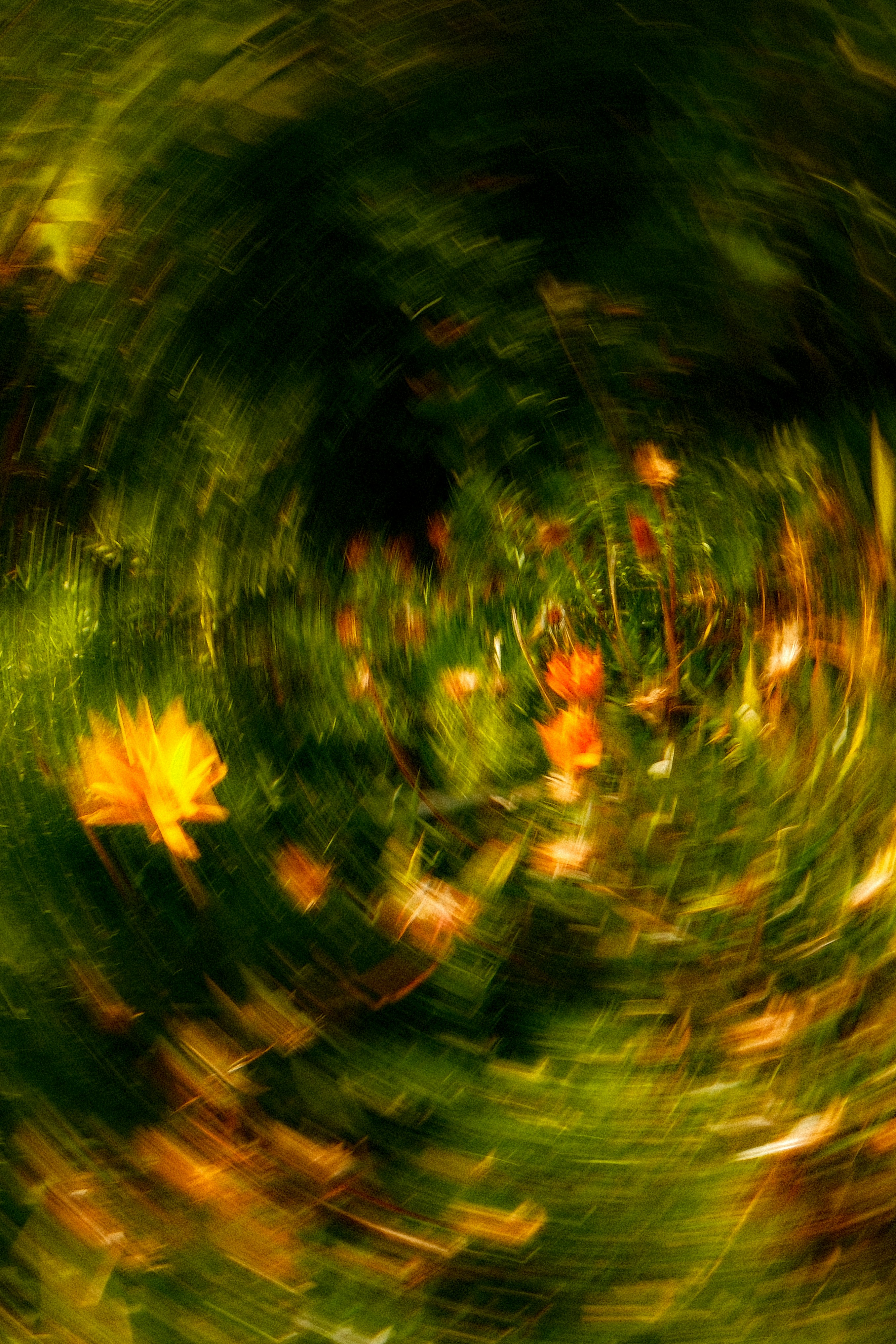 Whirl of Autumn: A Vortex of Leaves and Light