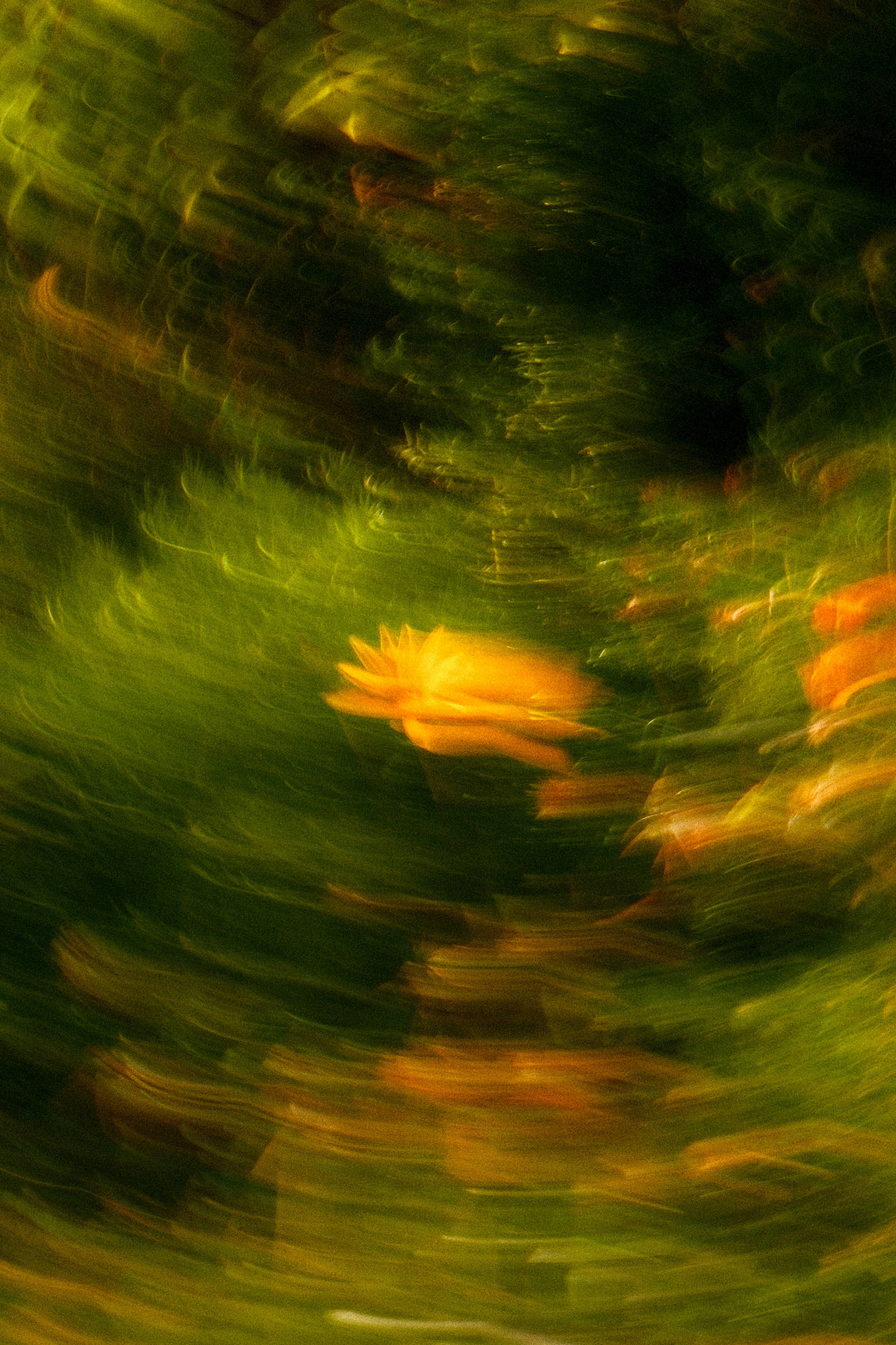 Autumn Whirl: Golden Leaves in a Tilted Orchard