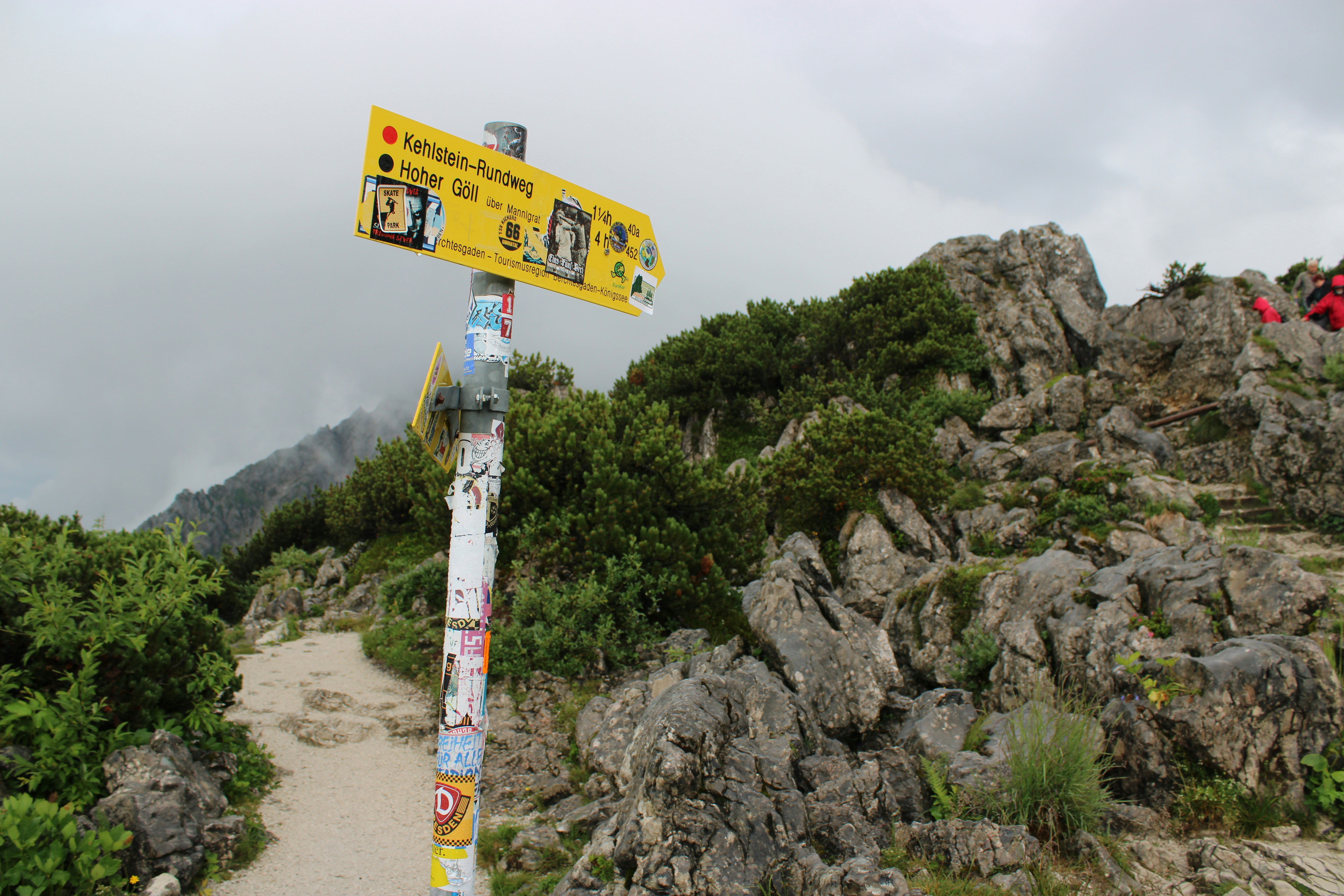 Trail Signpost at a Wind-Swept Ridge