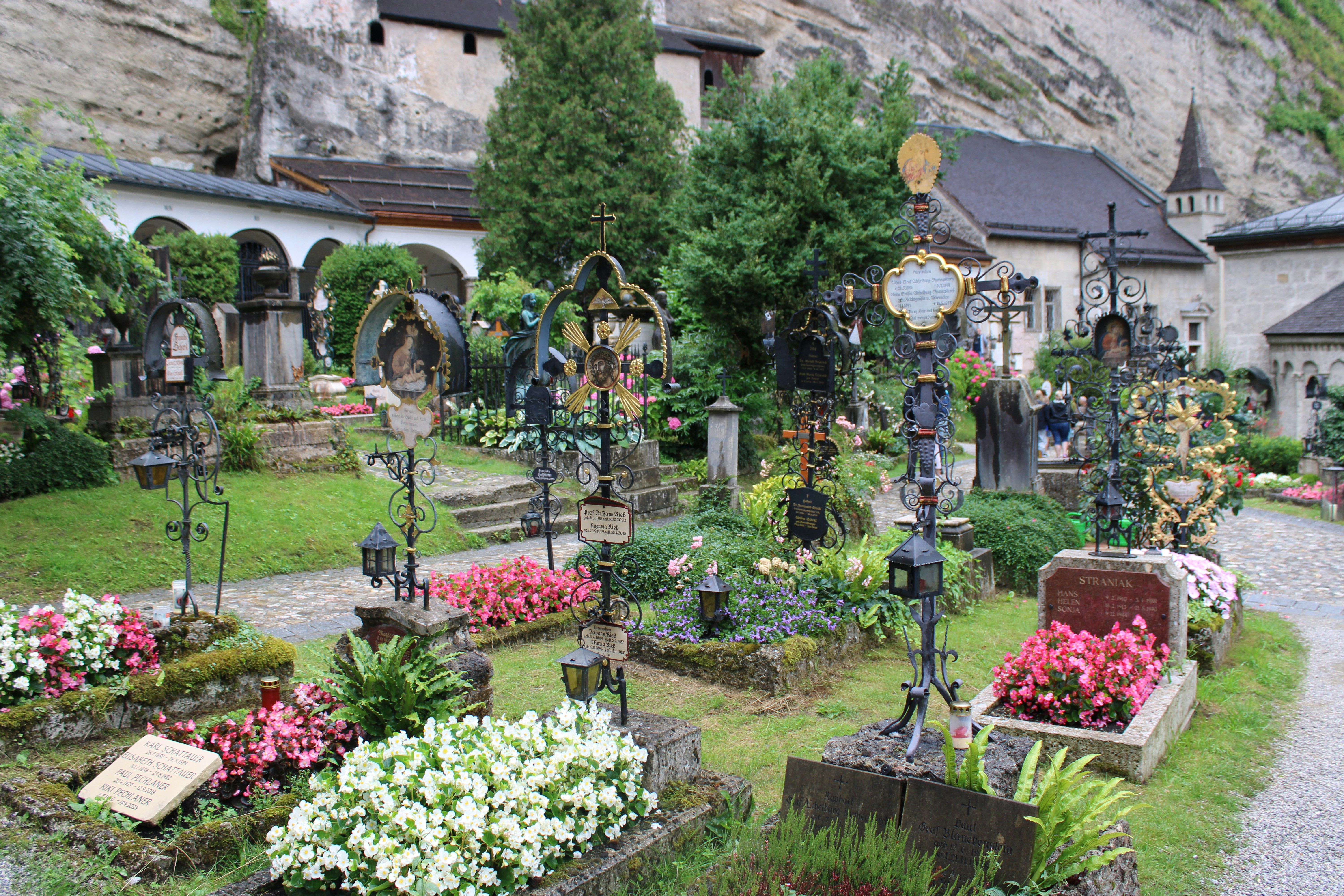 Floral Crossroads: A Colorful Cemetery Garden Snap