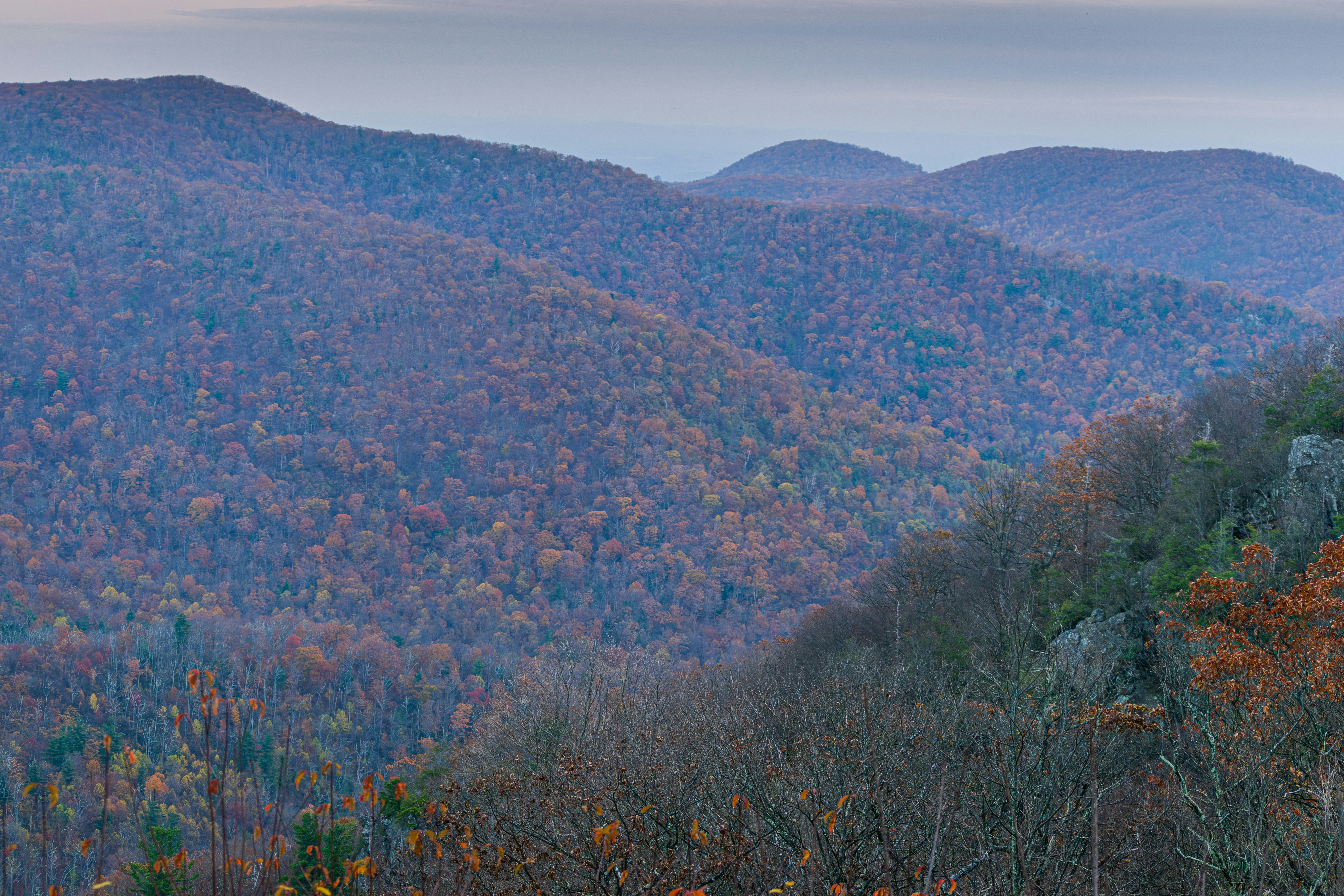 Vast Autumn Cascade: Ridge After Ridge