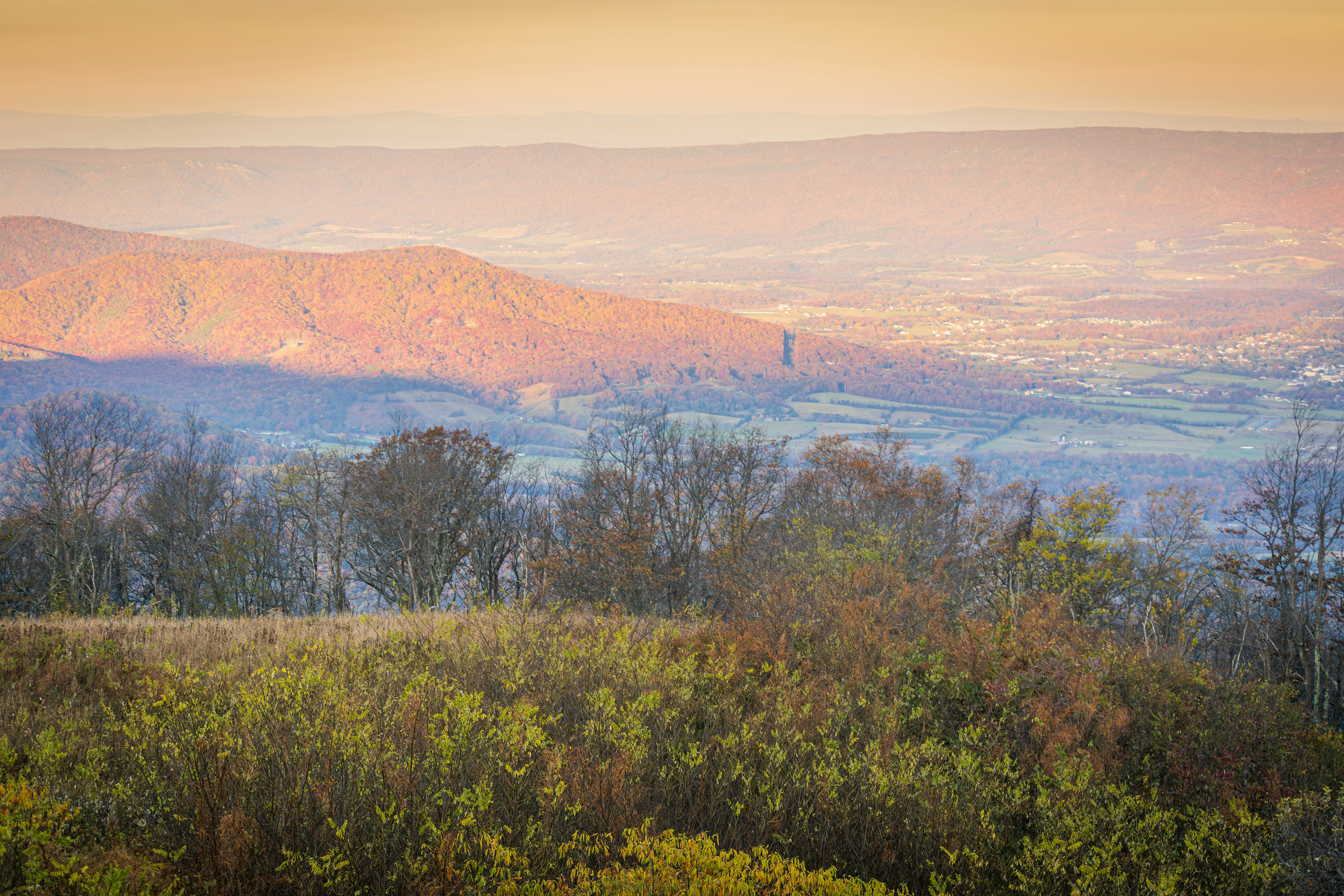 Golden Mist Over Quiet Valley from a Hilltop