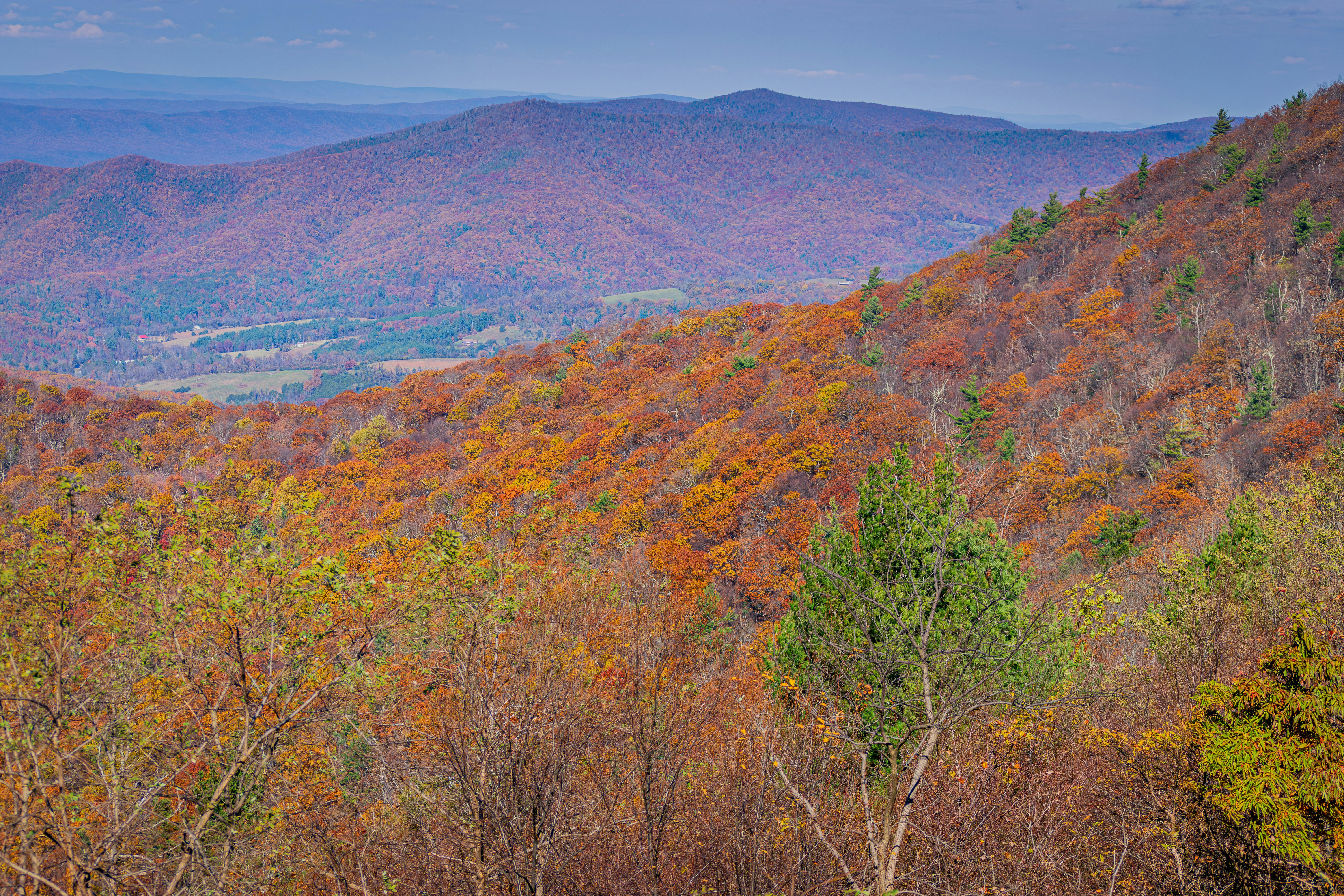 Autumn Ridge: A Valley of Color Between Mountain Slopes