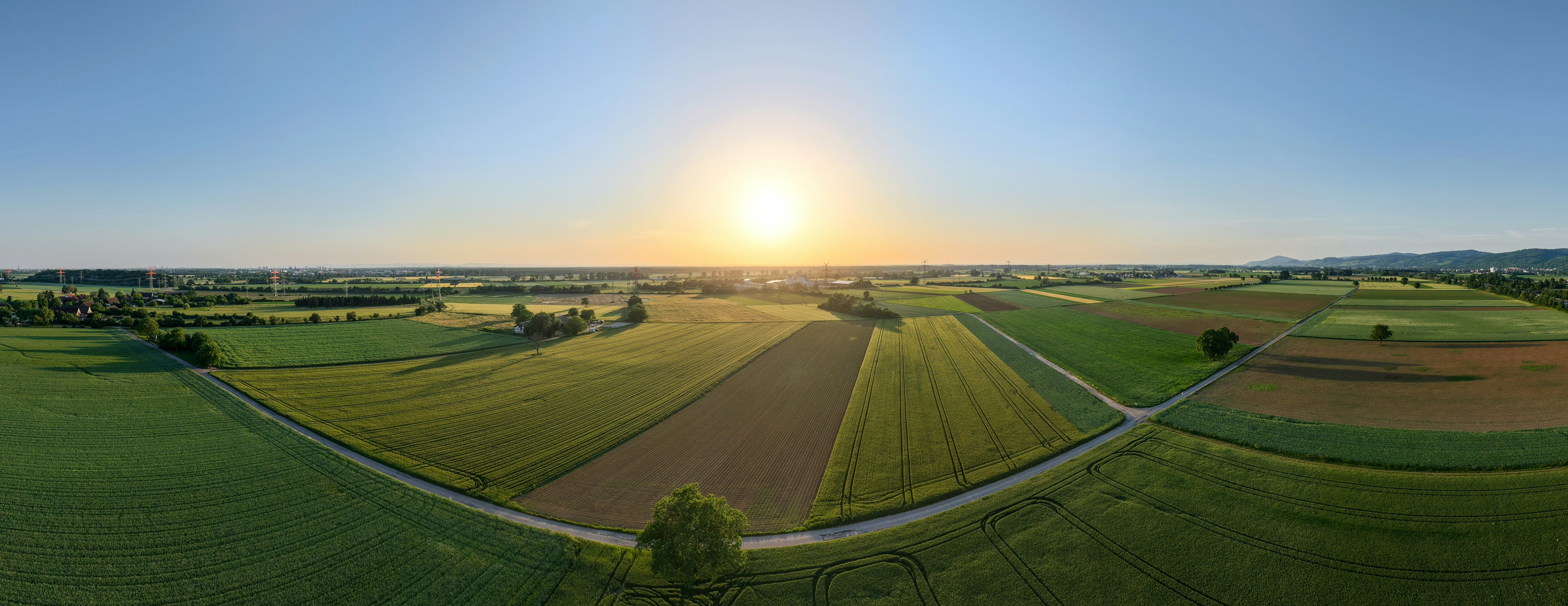 Sunlit Farmland Panorama at Dusk