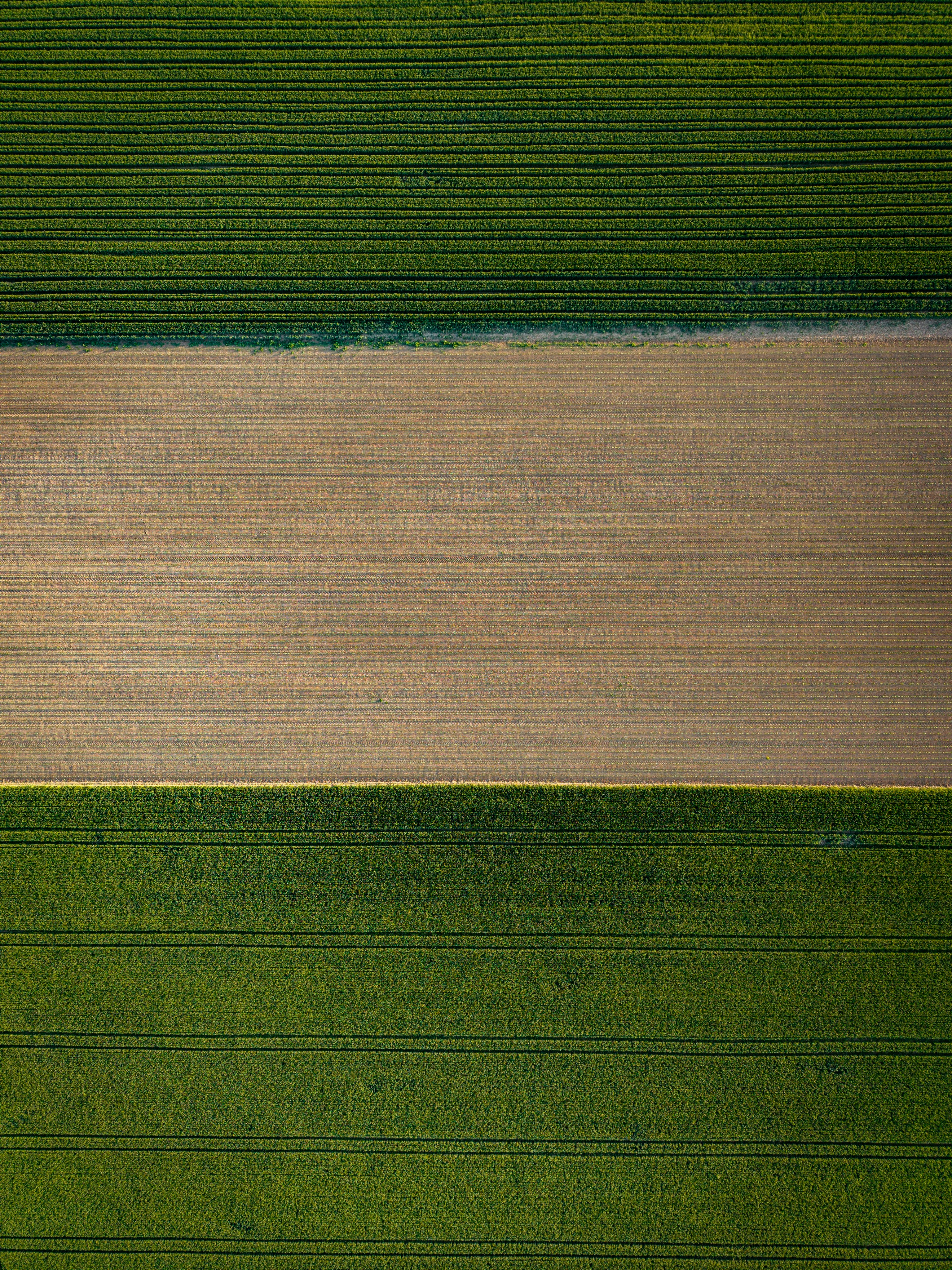 Aerial Echoes: Parallel fields of green and gold