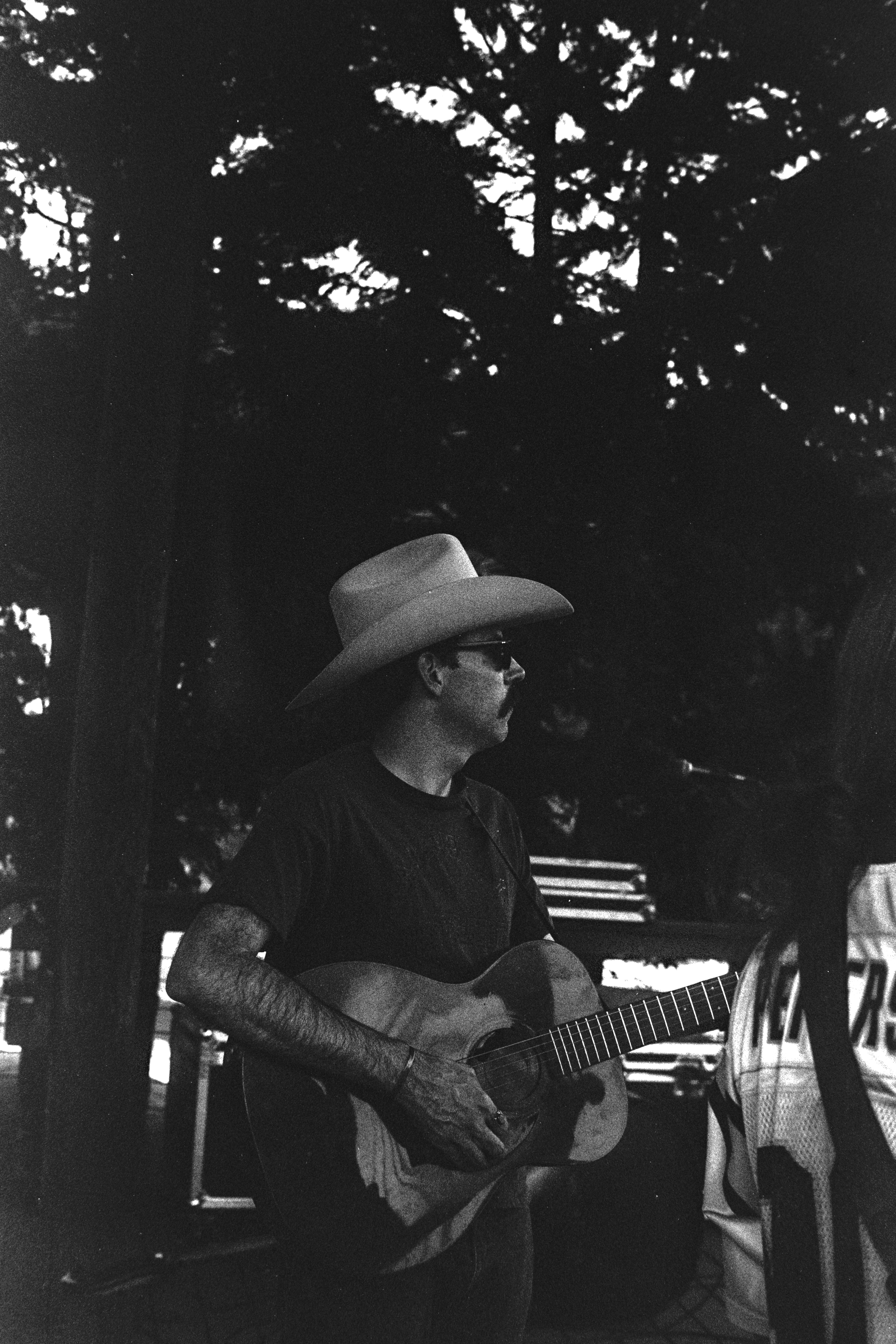 Harmonica of the Night: A Guitarist Under Forest Canopy