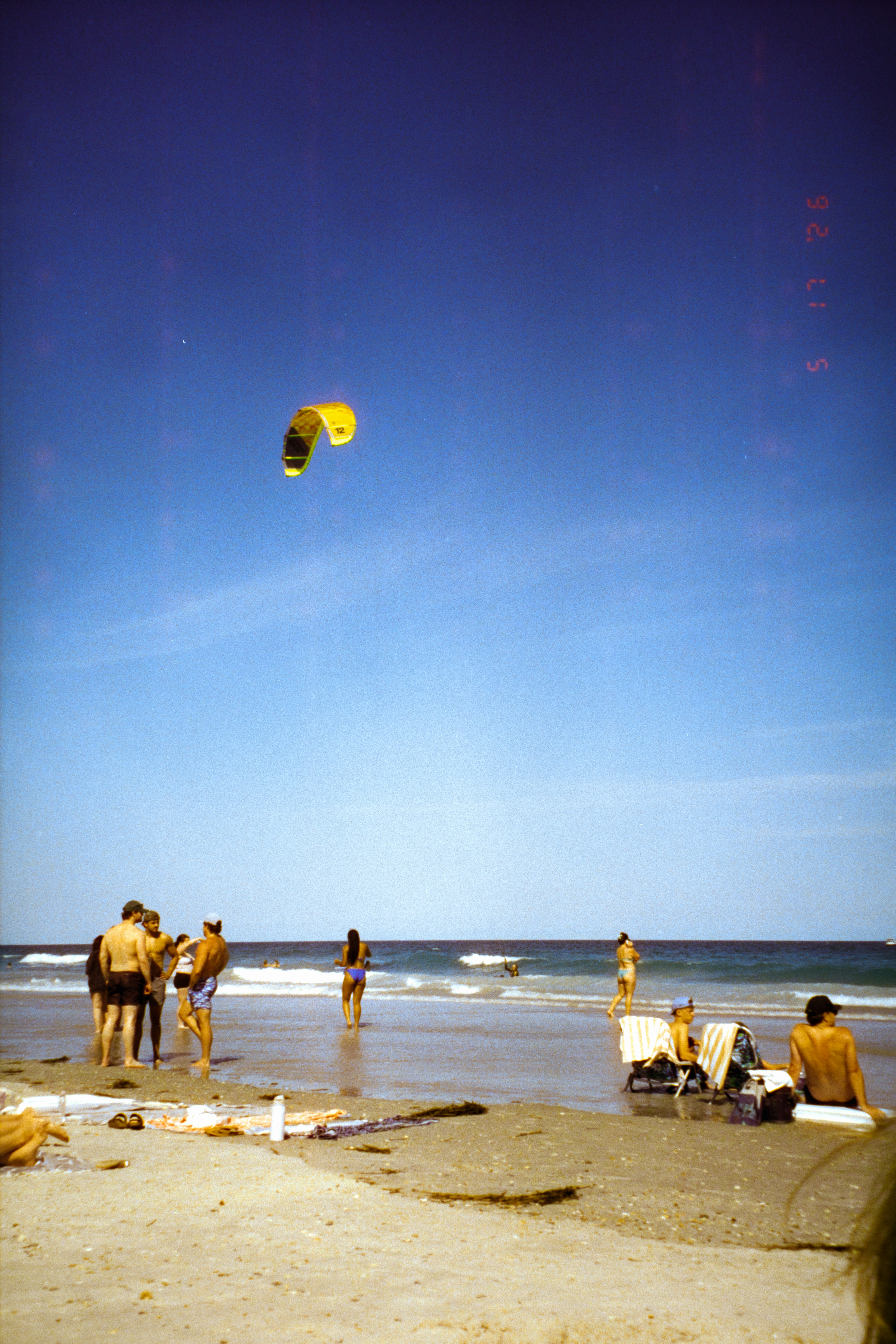 Kite Above the Quiet Shore