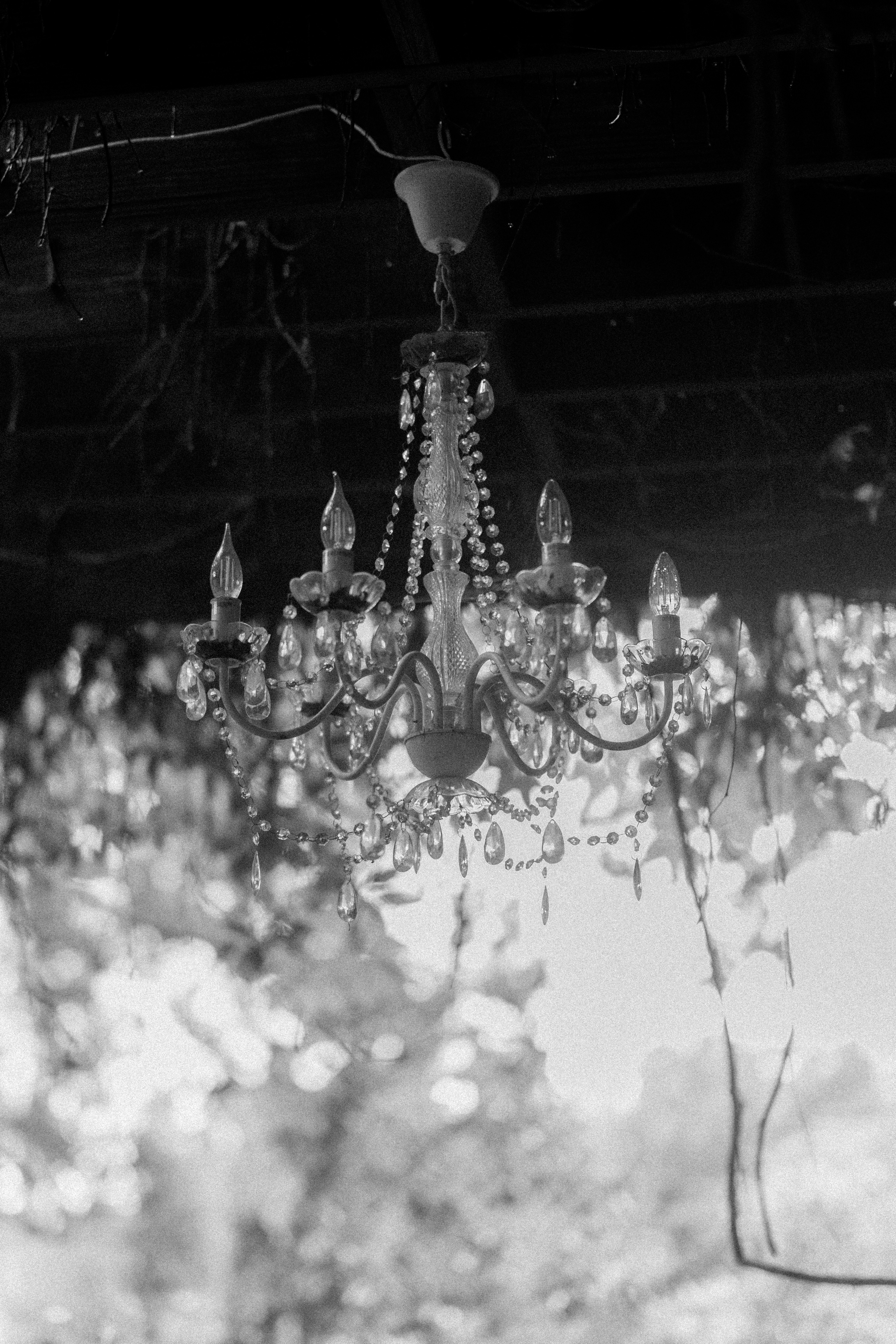 Dusty Crystal Chorus: An Old Chandelier in Soft Focus