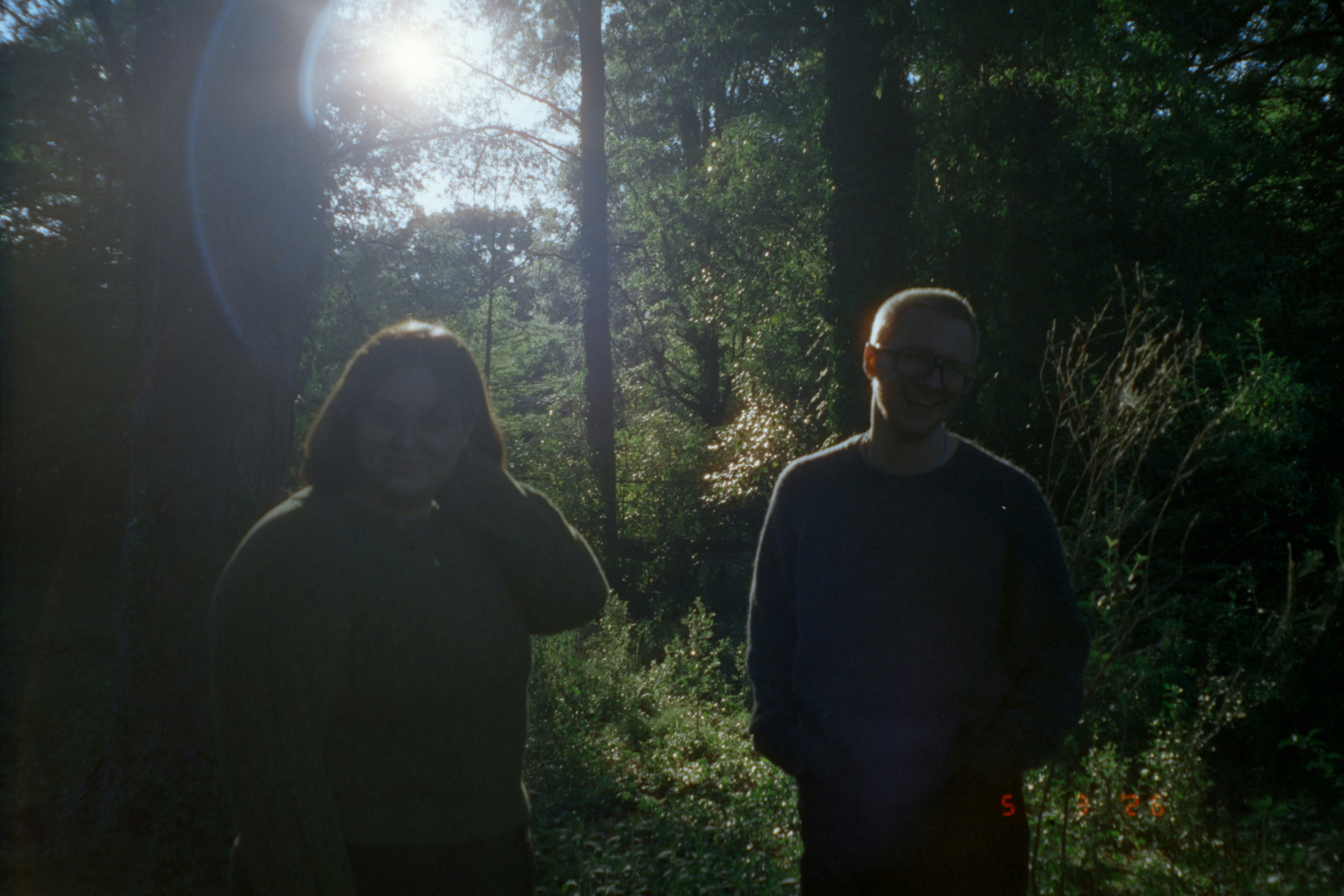 Sunlit Hush: A Pair in a Quiet Forest