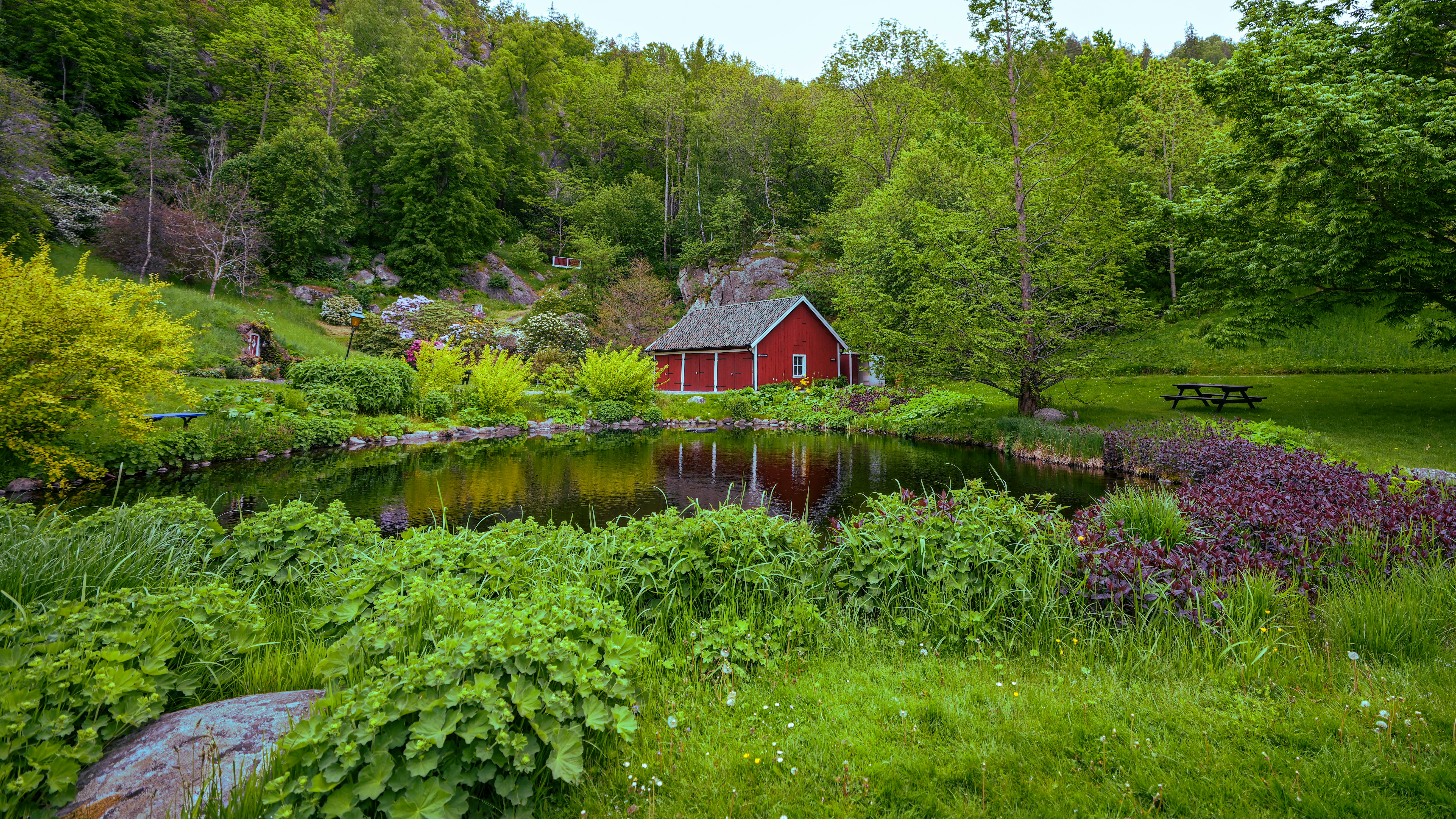 Red Barn at the Edge of a Lush Garden Pond