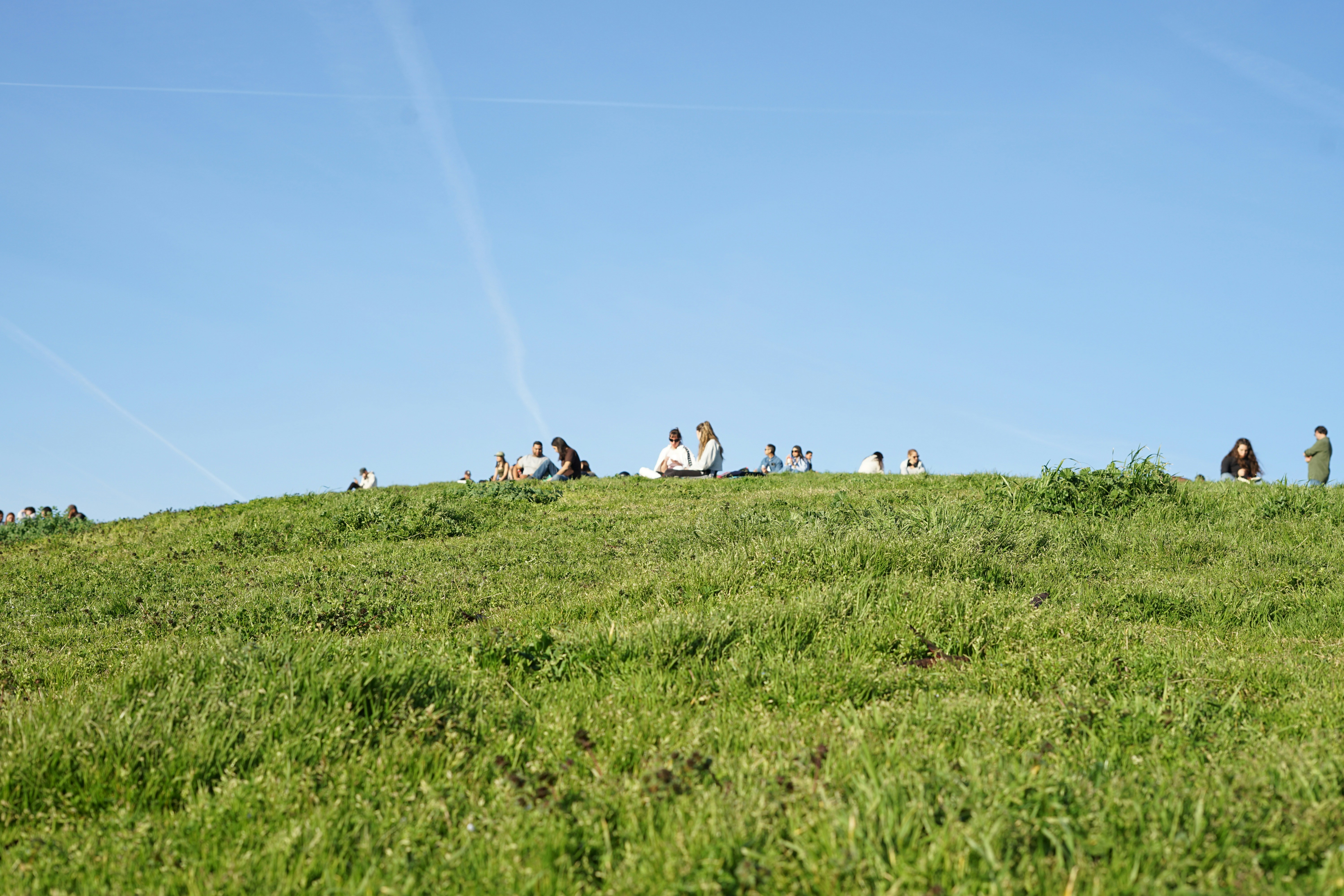 Horizon of Faces: A Gentle Climb to a Sunlit Crest