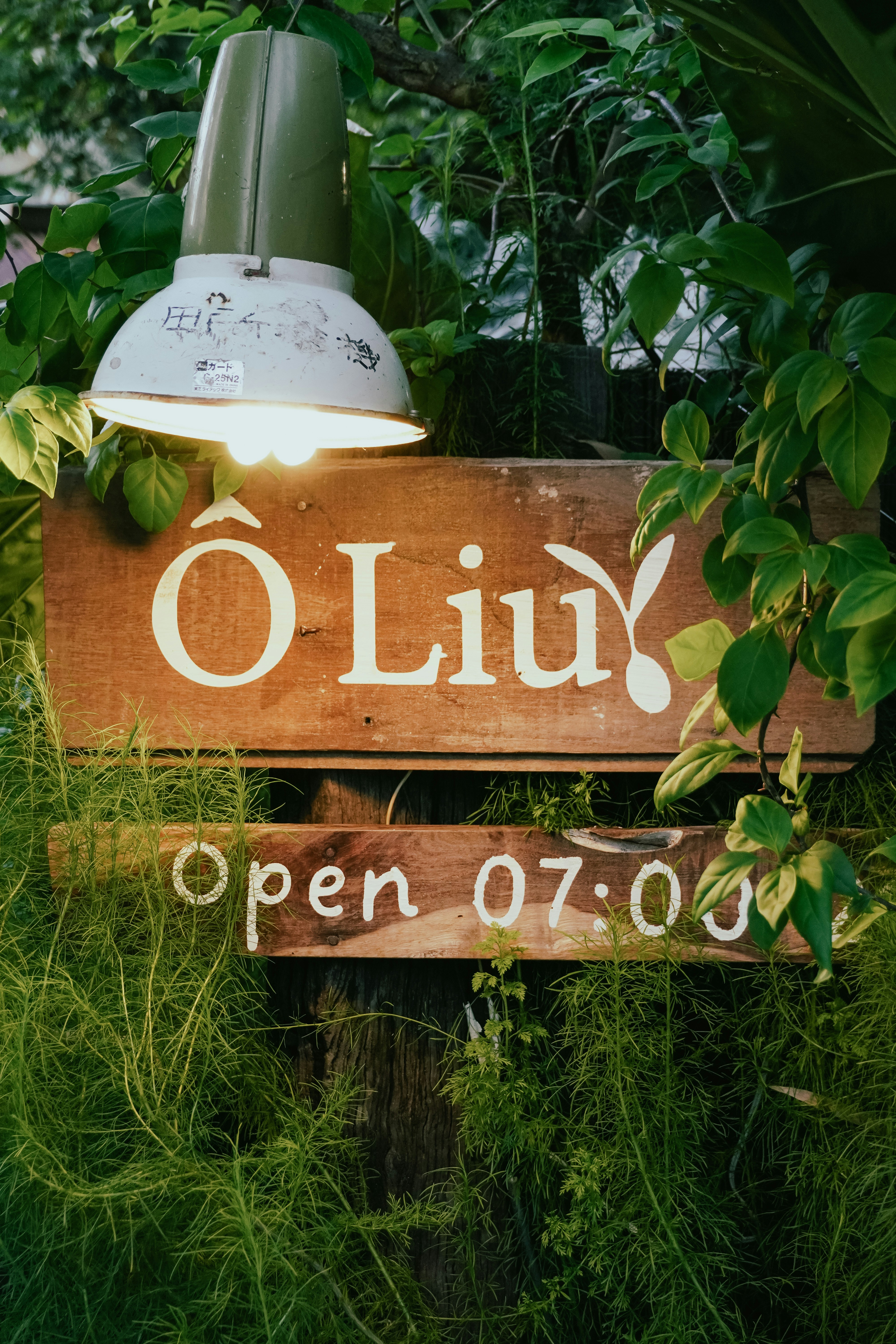 Plants, Lamp, and Rustic Sign: Open Morning at Ô Liêu