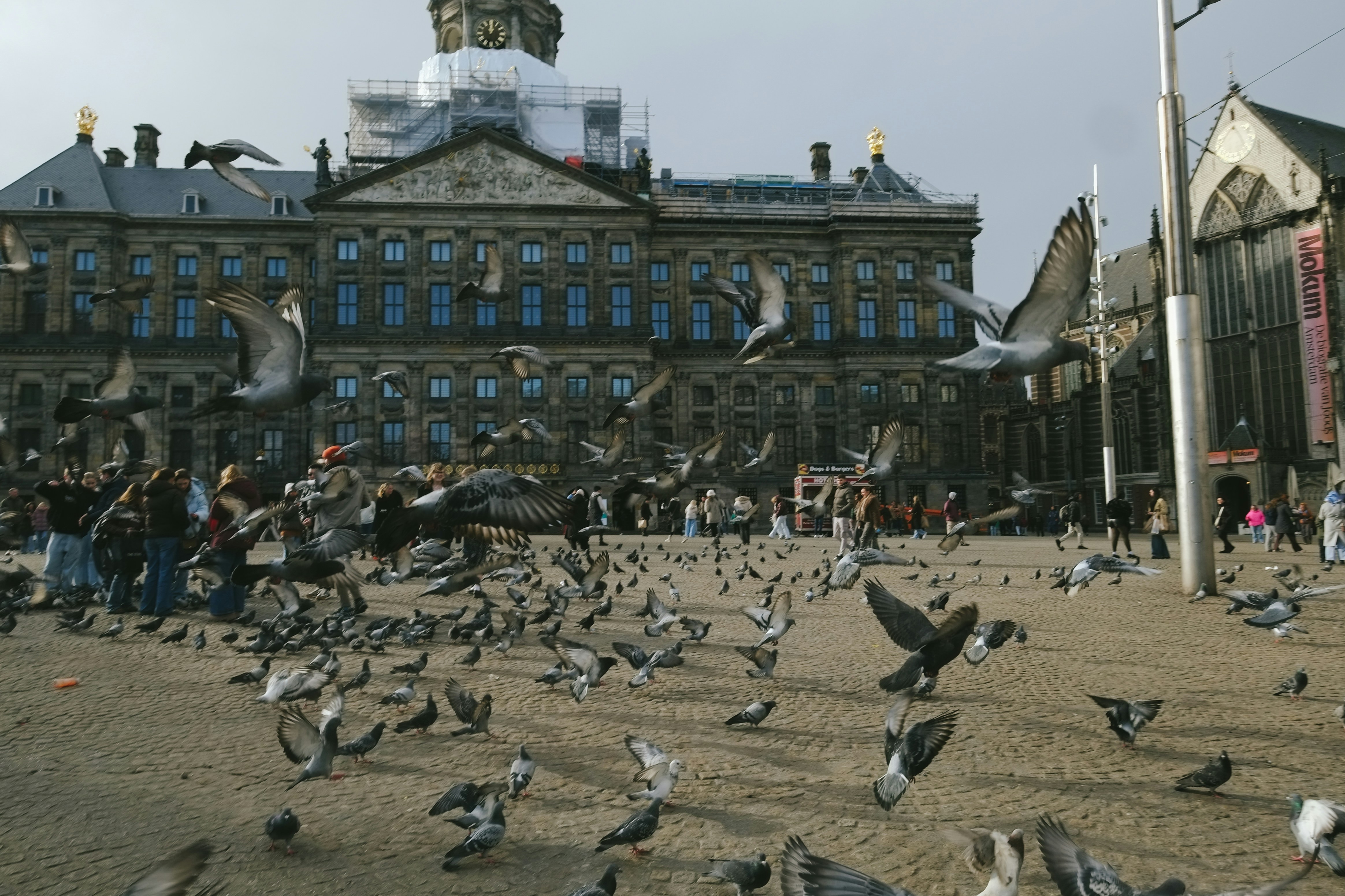 Doves in Flight Over a Historic Square