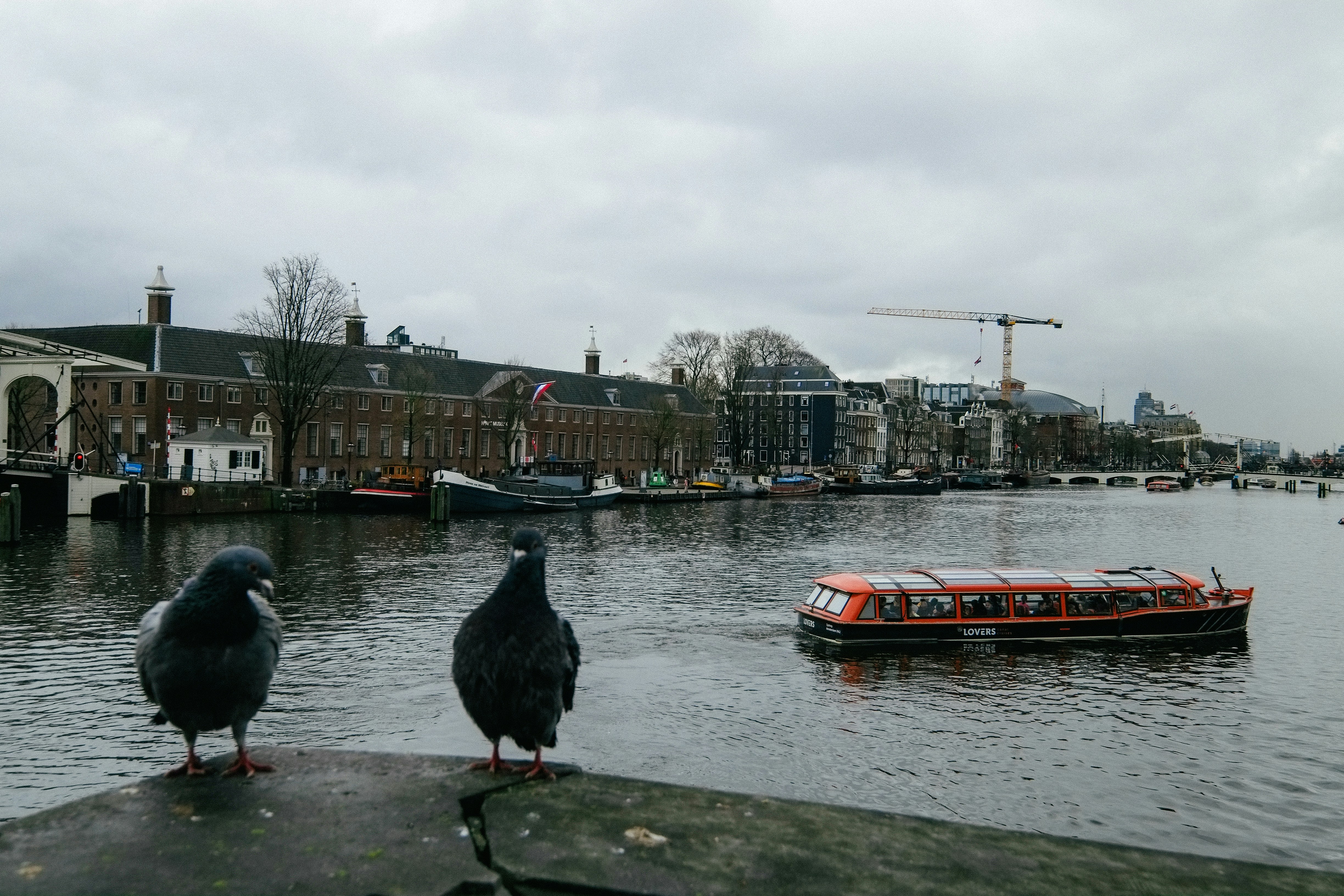 Two pigeons survey the canal as a red boat glides by a historic harbor