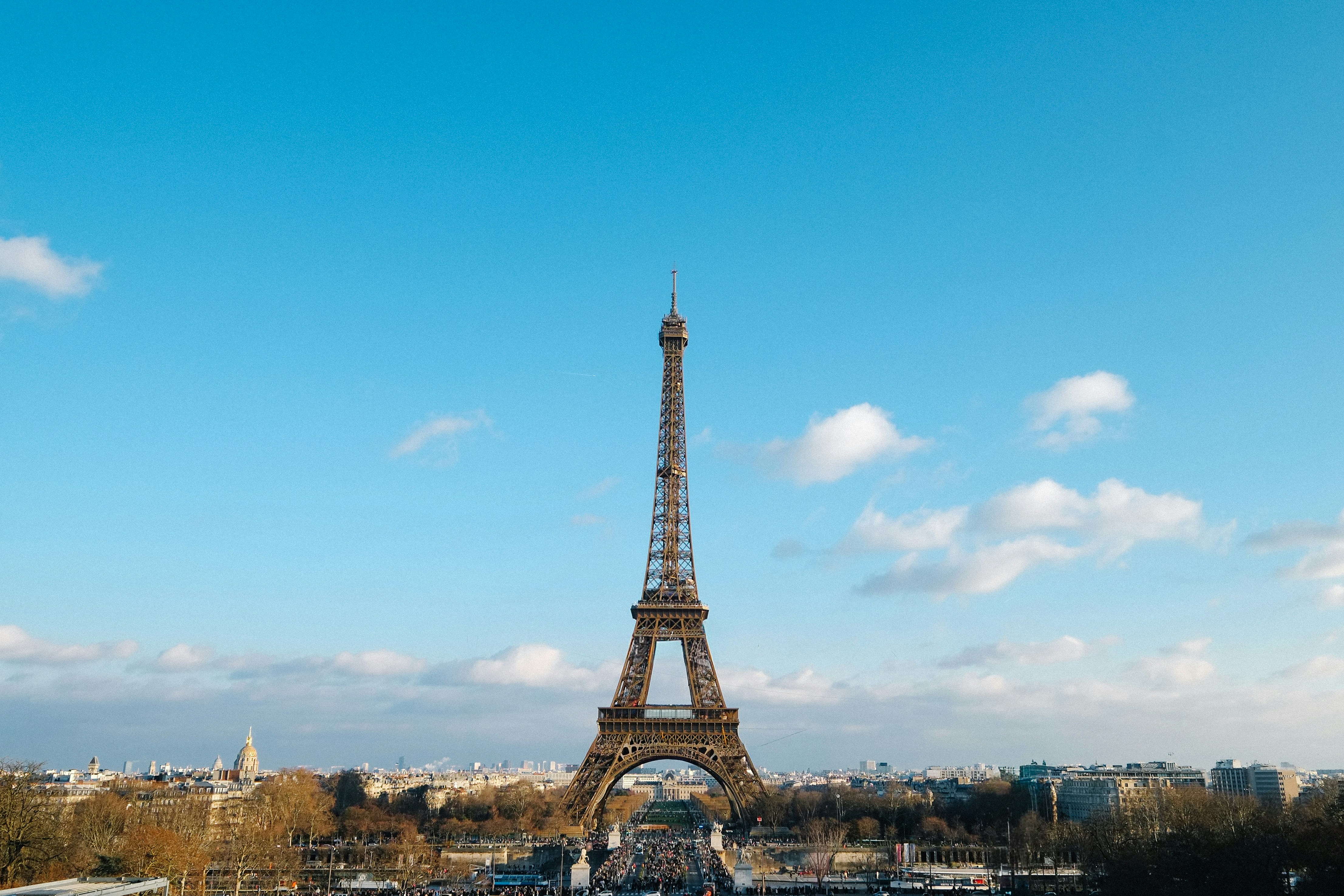 Eiffel Tower Rising Over a Crescent of Paris