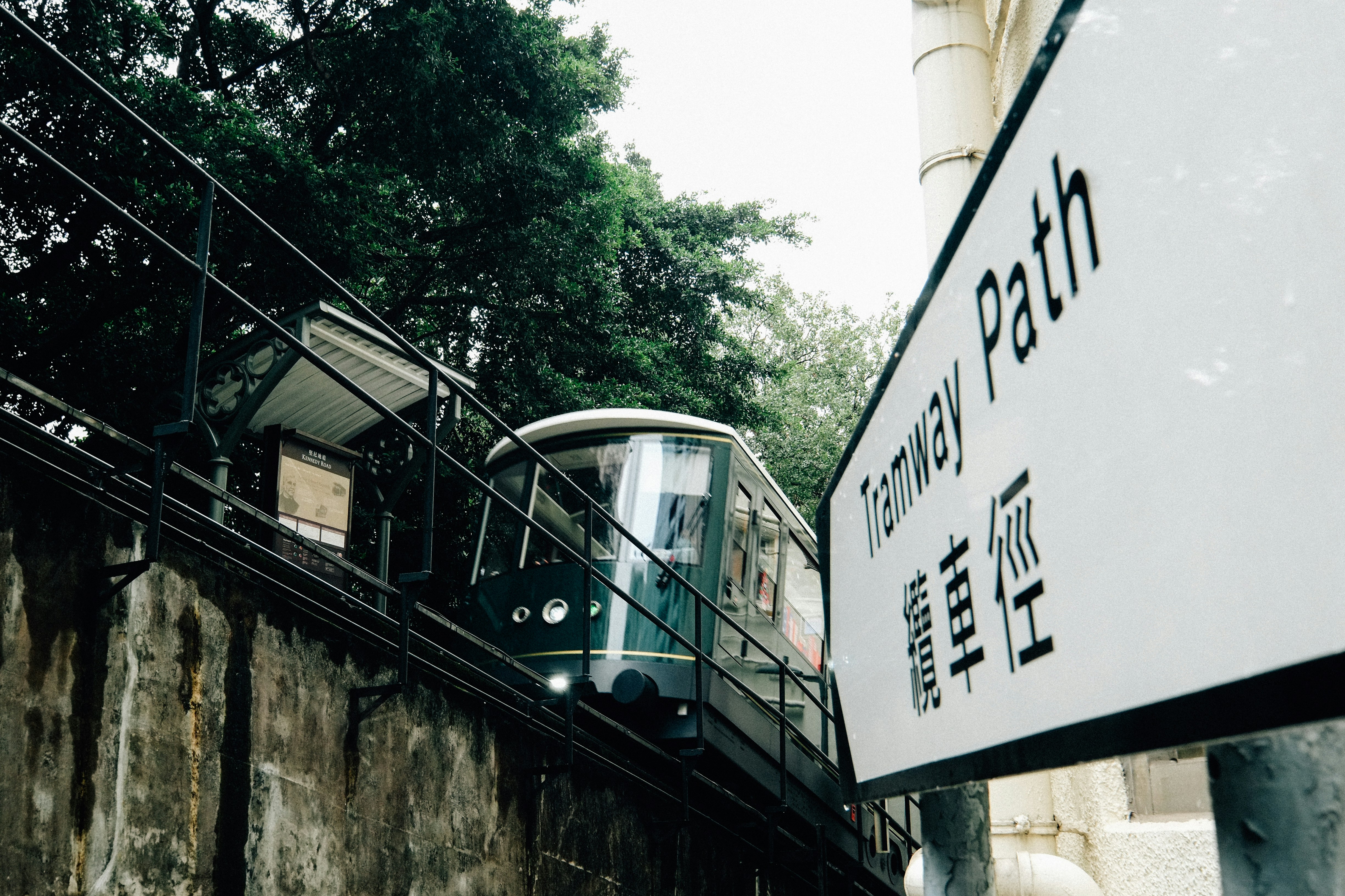 Tram Emergence: A Quiet Rise by the Tracks