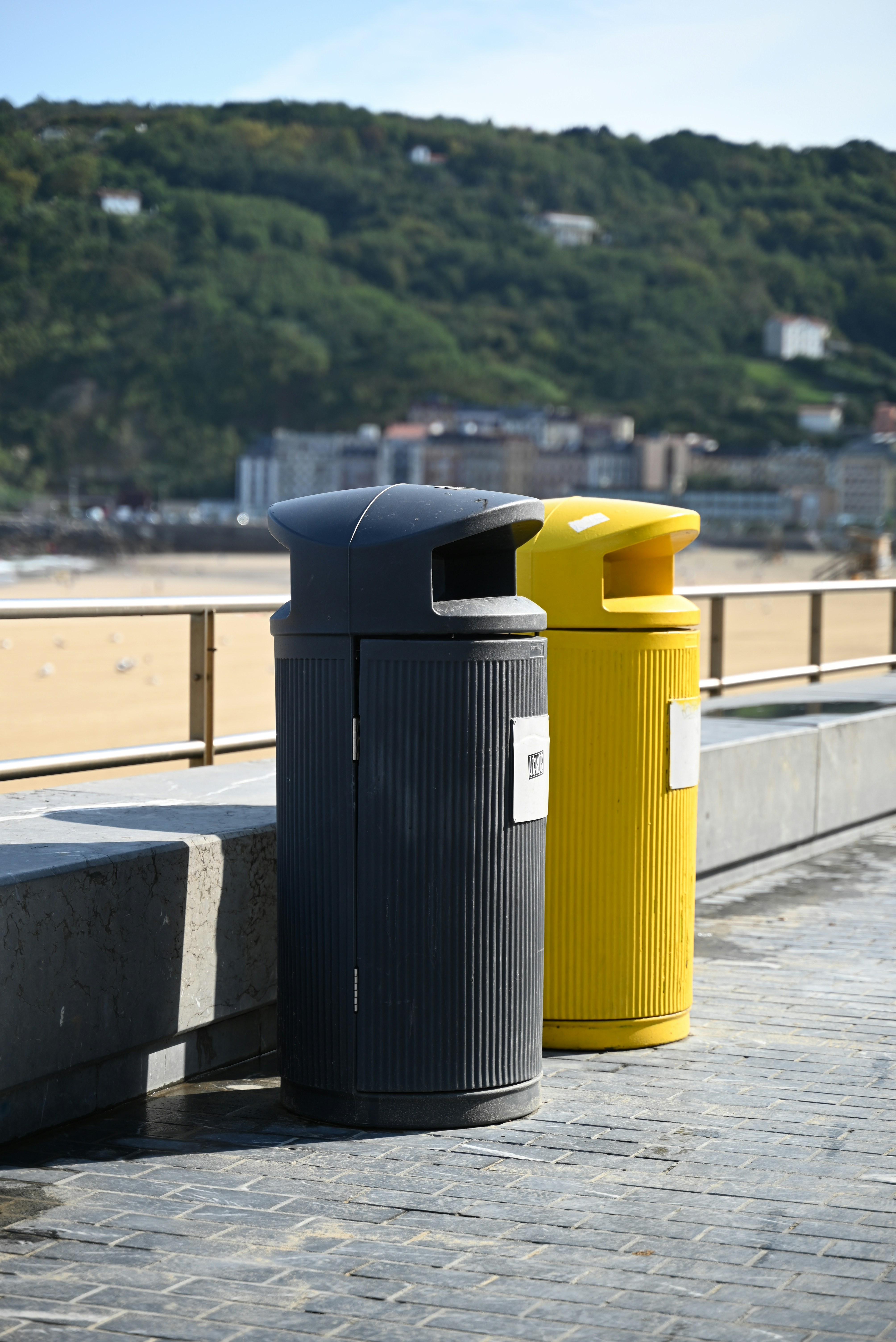 Twin Waste Bins on a Seaside Promenade