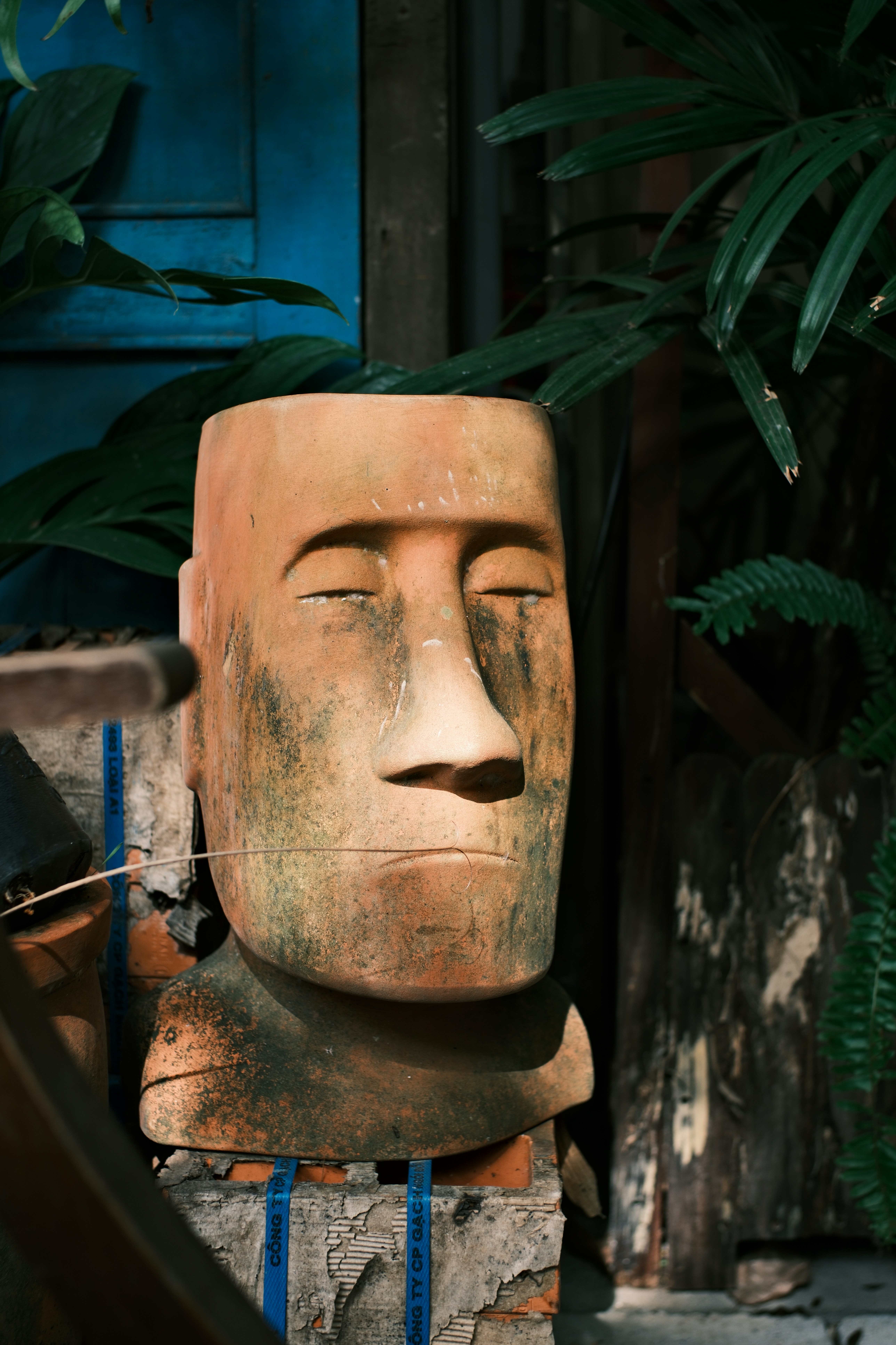 Silent Mask in the Jungle Courtyard