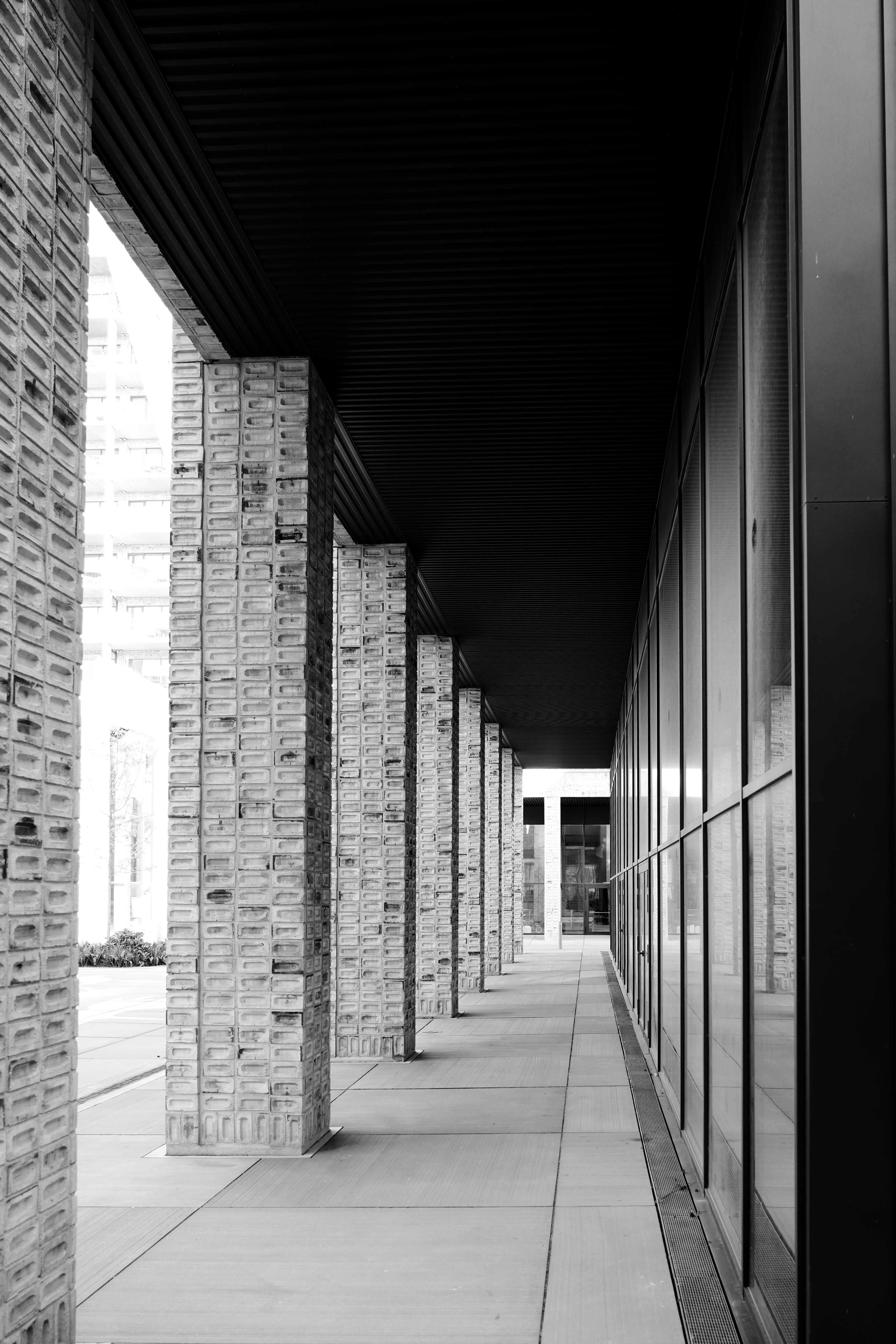 Colonnade of Echoes: A Monochrome Walk Through Modern Canopies
