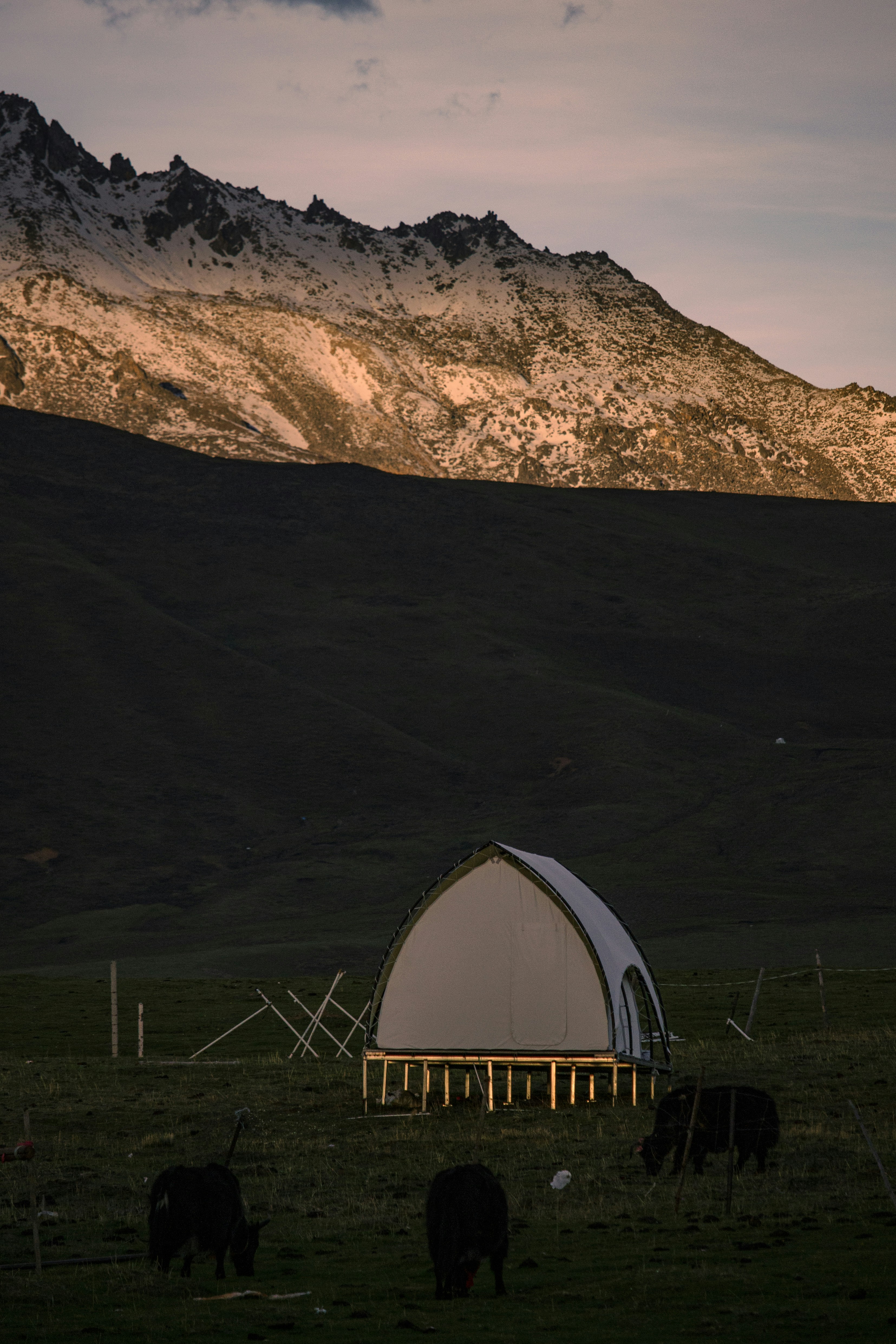 Glow beneath the Snowcrest: A lone tent at dusk