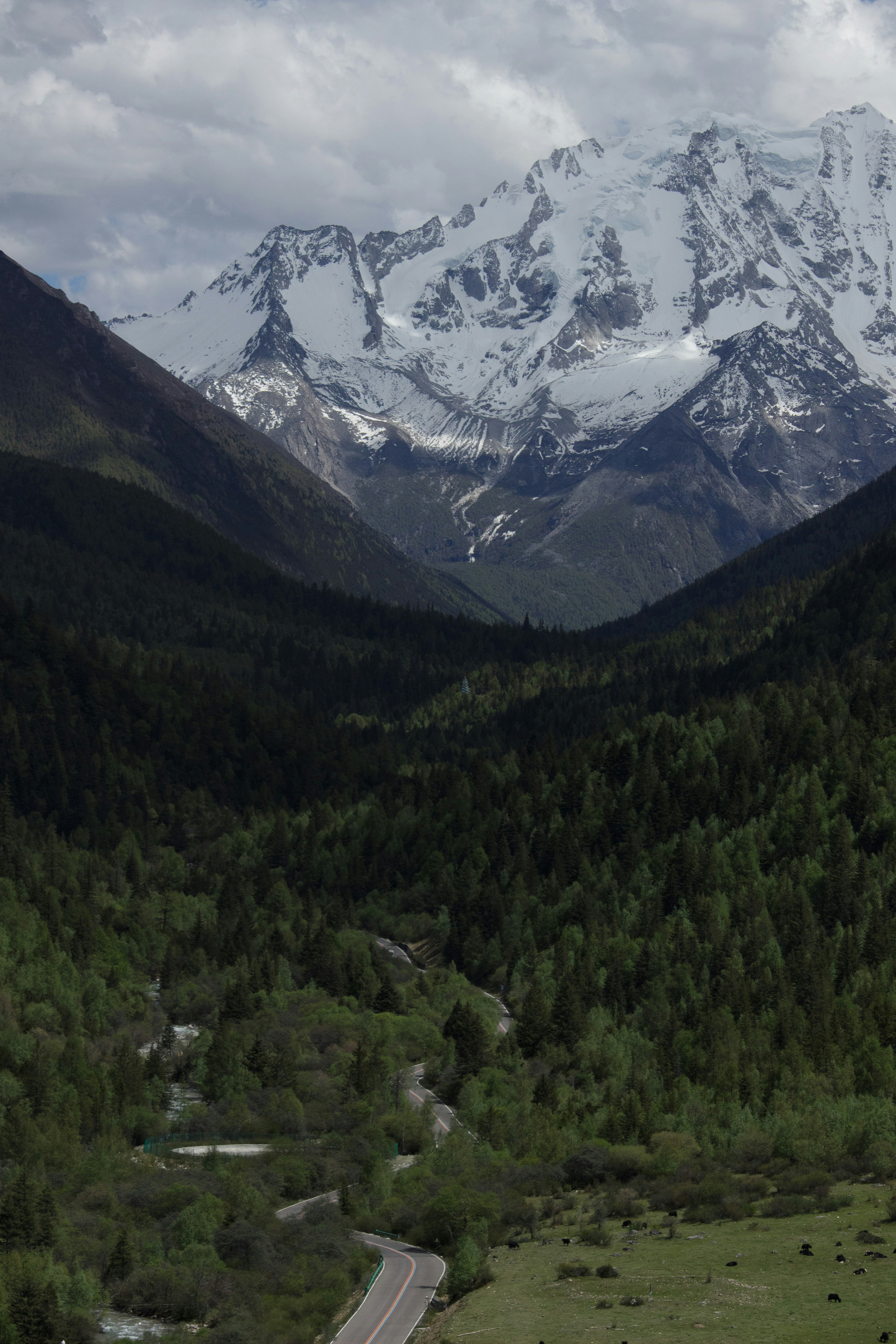 Snow-capped Peaks Framing a Carved Valley Road