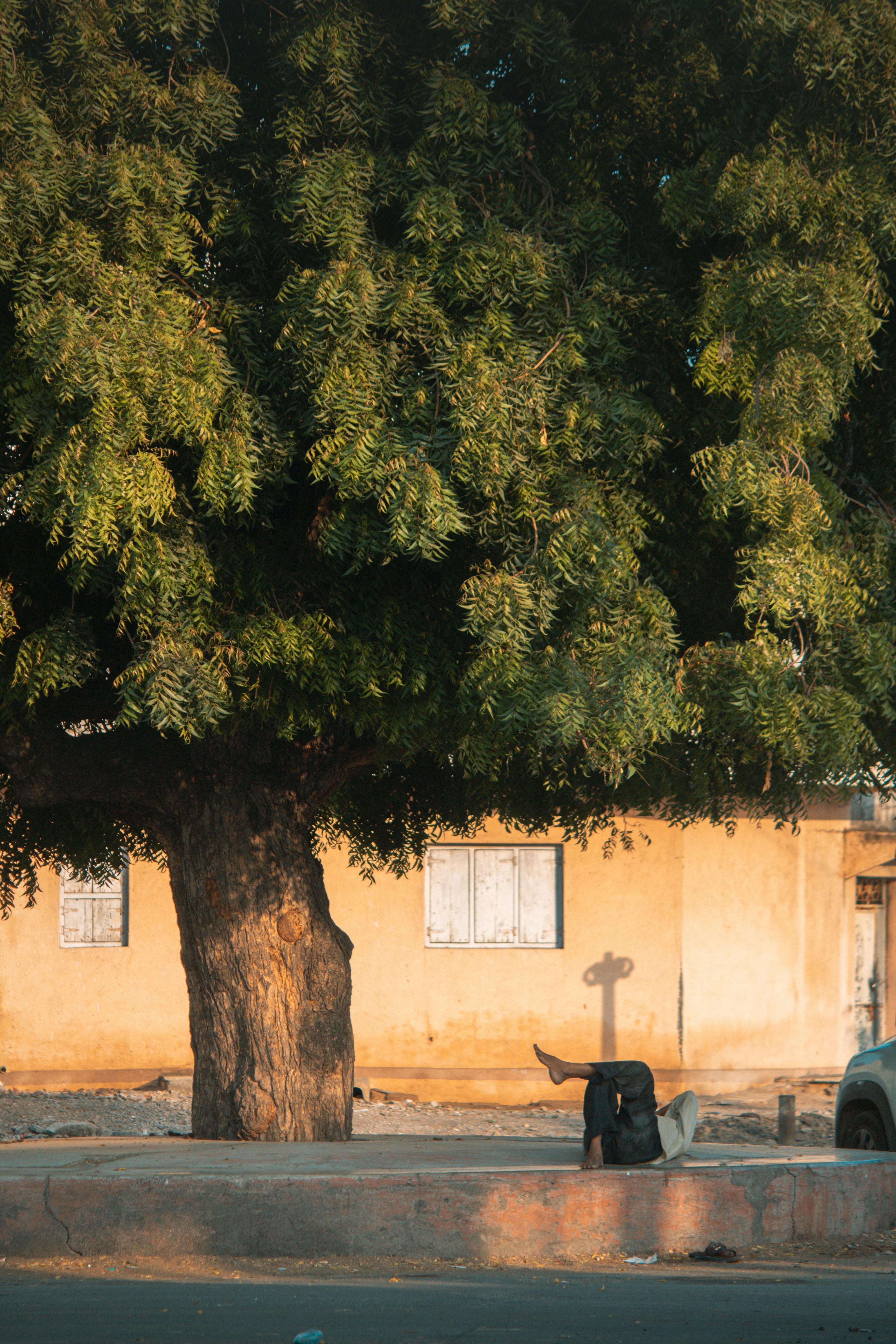 Sunlit Street Hamlet: A Quiet Moment Beneath the Large Shade