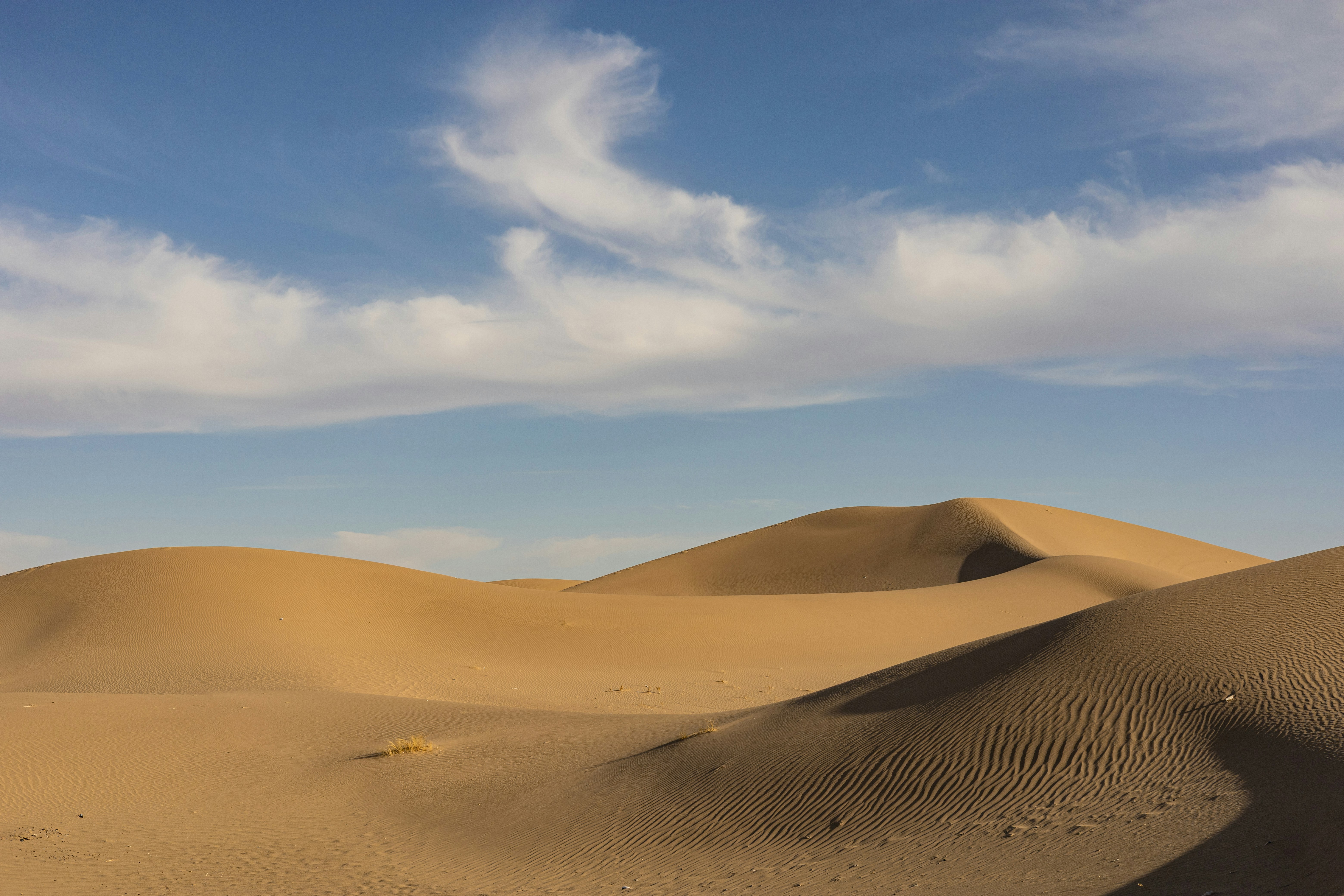 Desert Crest: A Quiet Arc of Sand and Sky