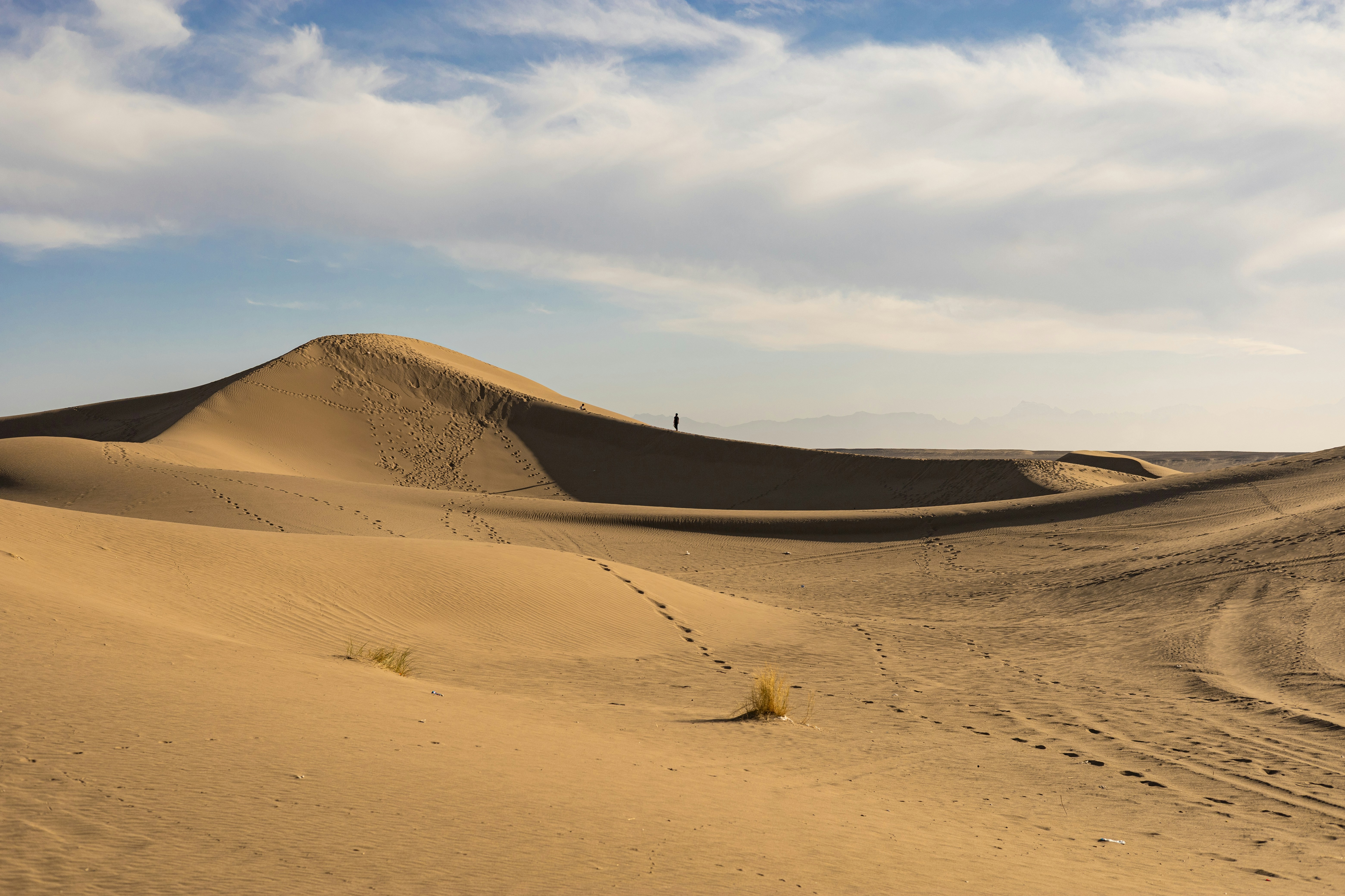Dune Summit: A Quiet Passage Across Golden Sand