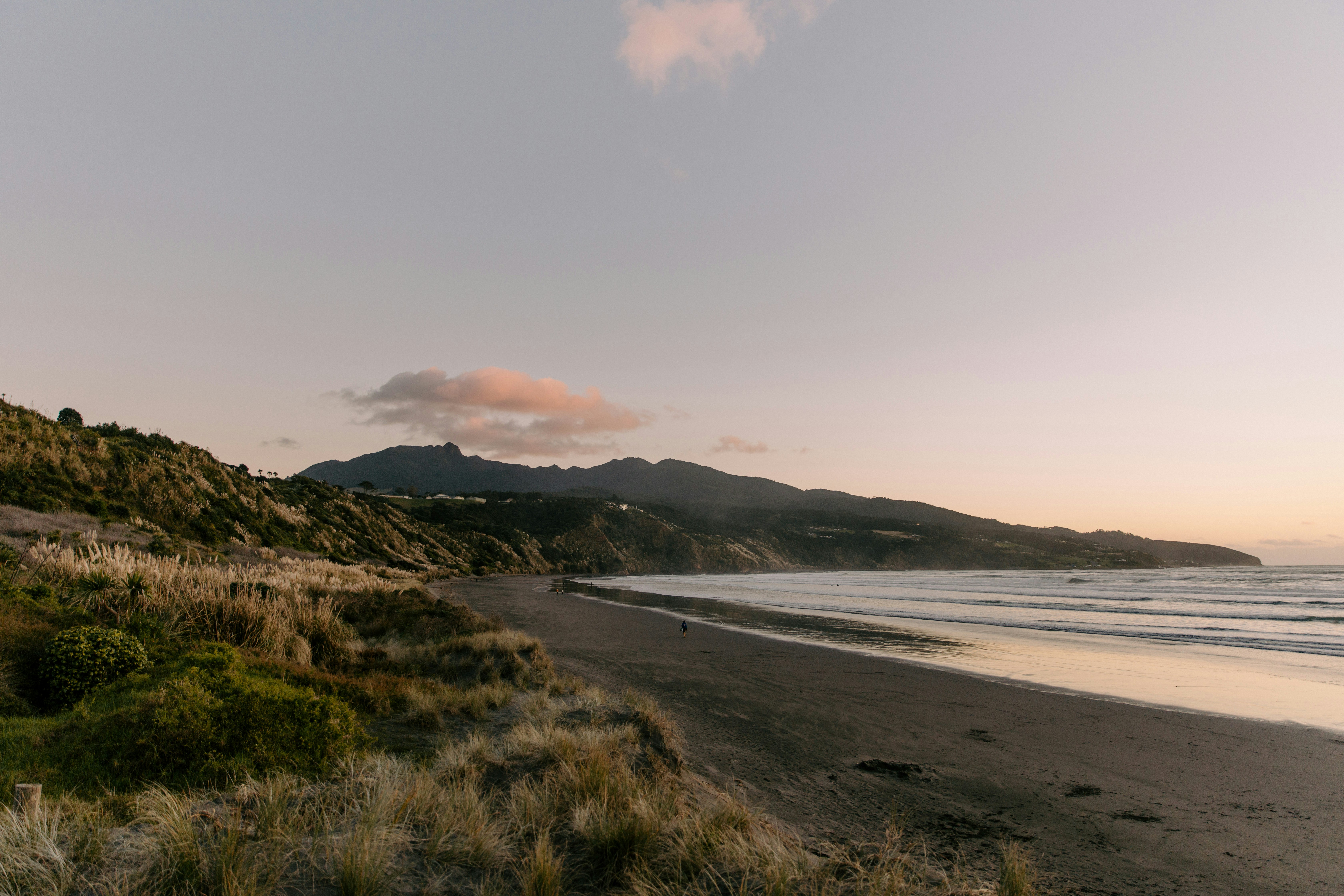 Dusk at the Dune Coast: Quiet line of surf and scrub