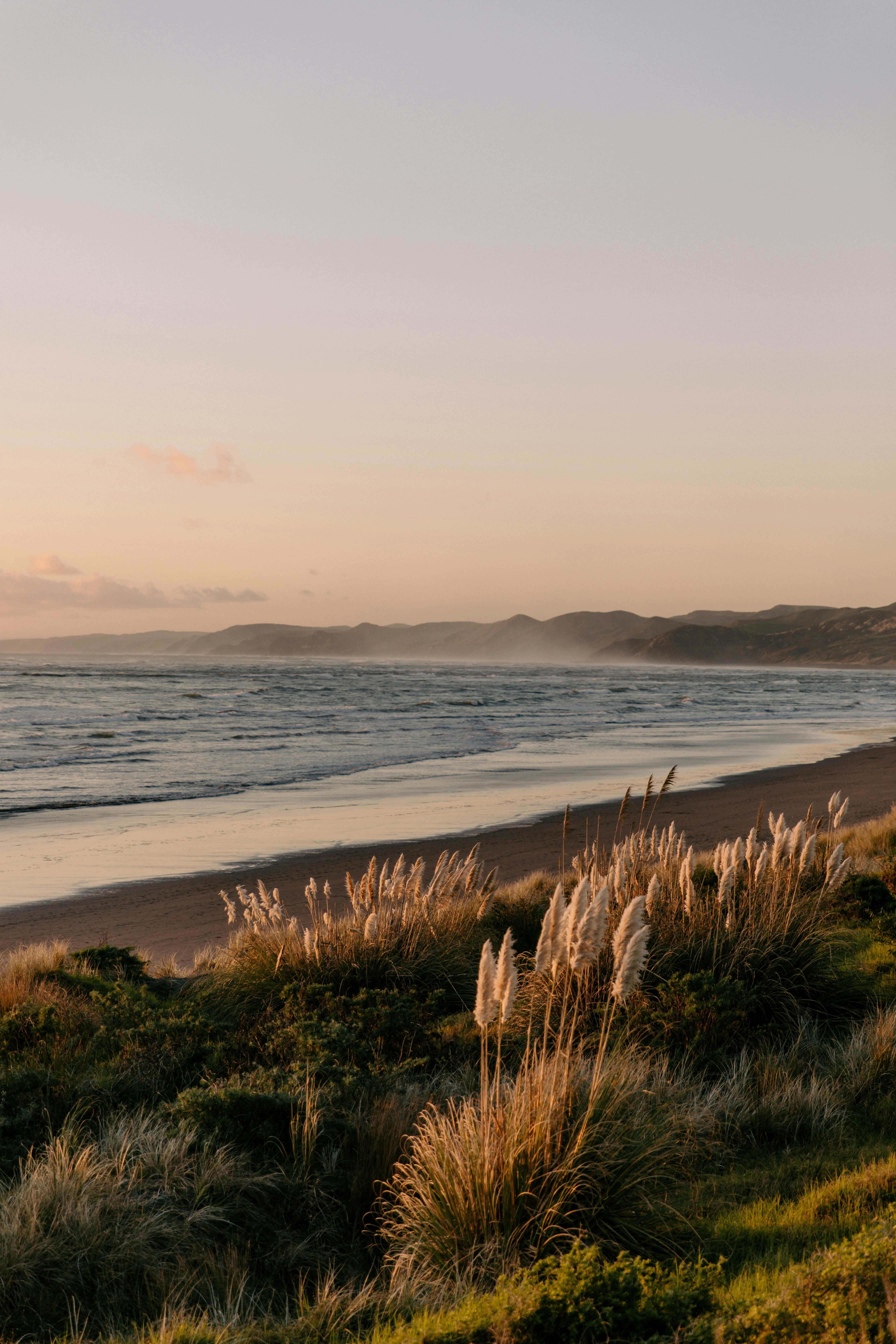 Golden Shoreline: Nebulous Dawn Over Grass and Sea