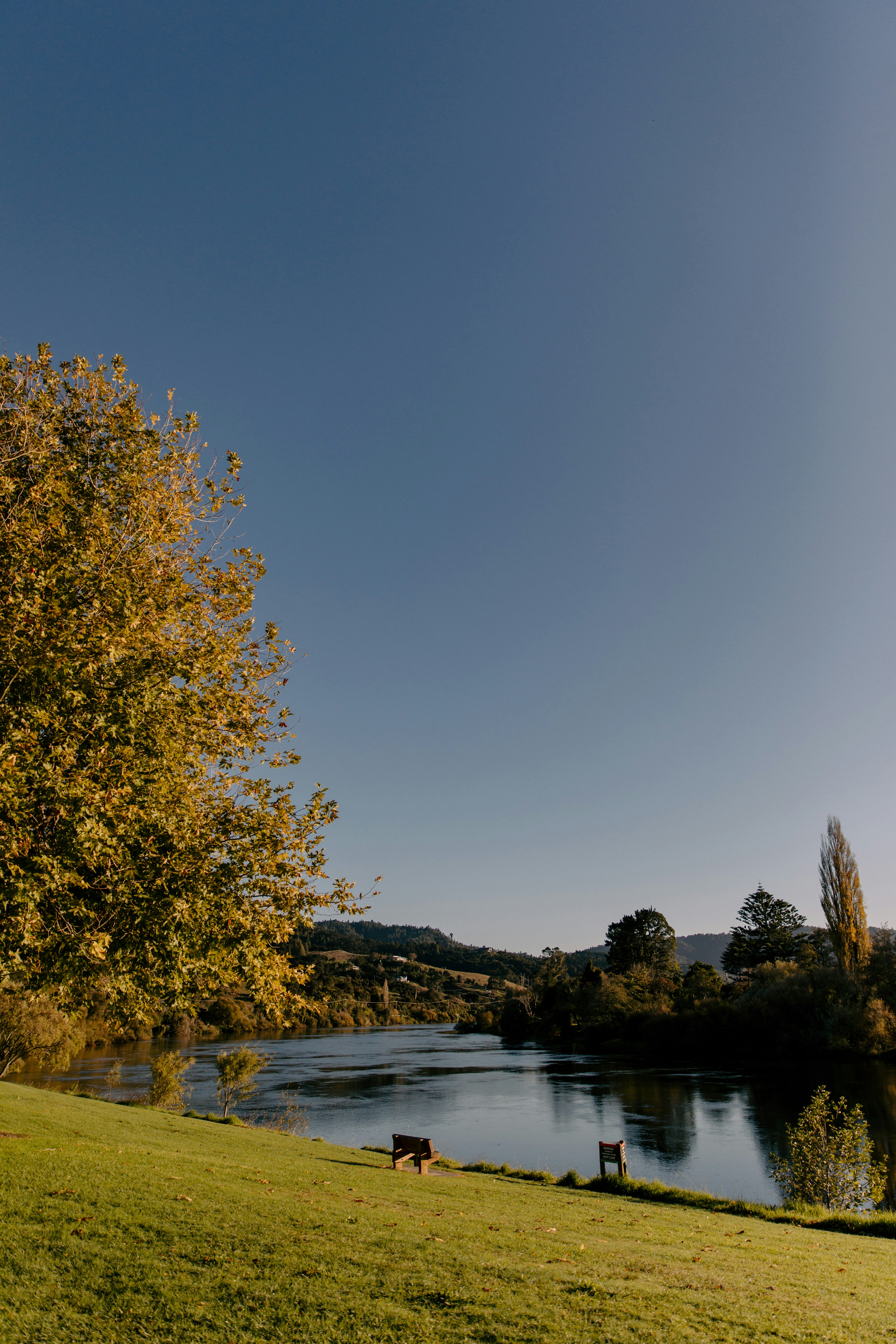 Golden Riverbank Under a Clear Autumn Sky