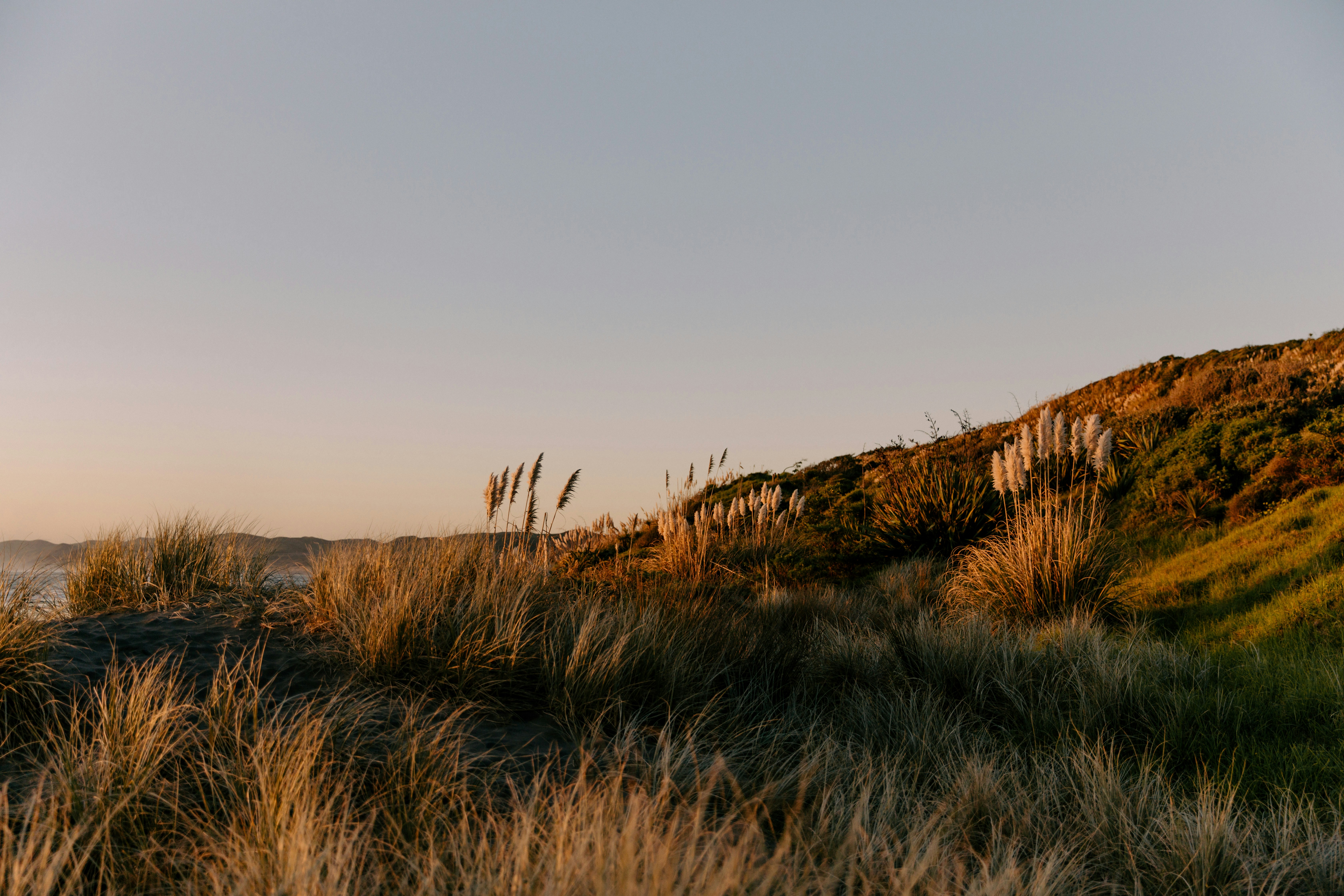 Dune Ridge at Golden Hour