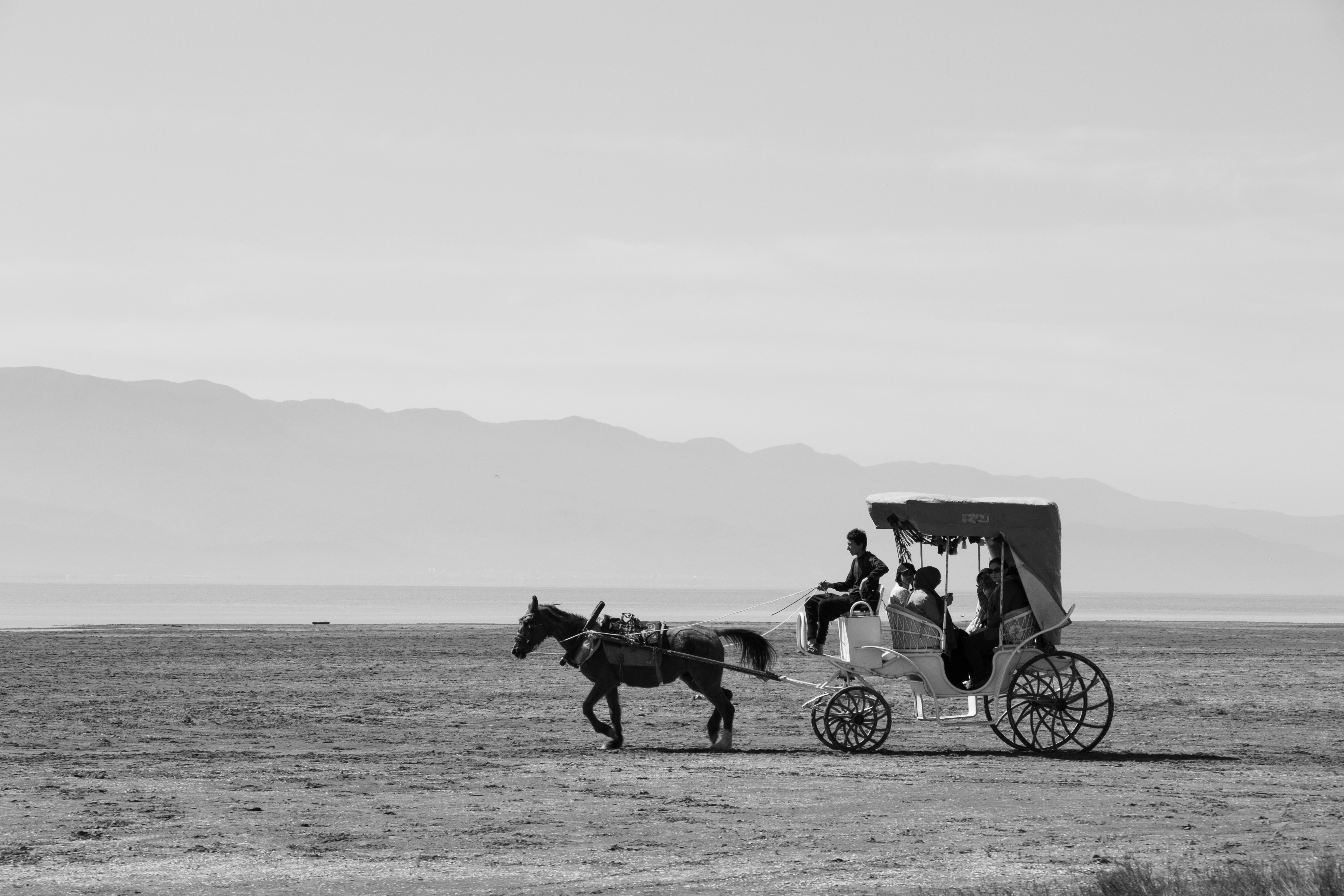 Desert Caravan: Horse and Carriage Ride Across a Quiet Basin