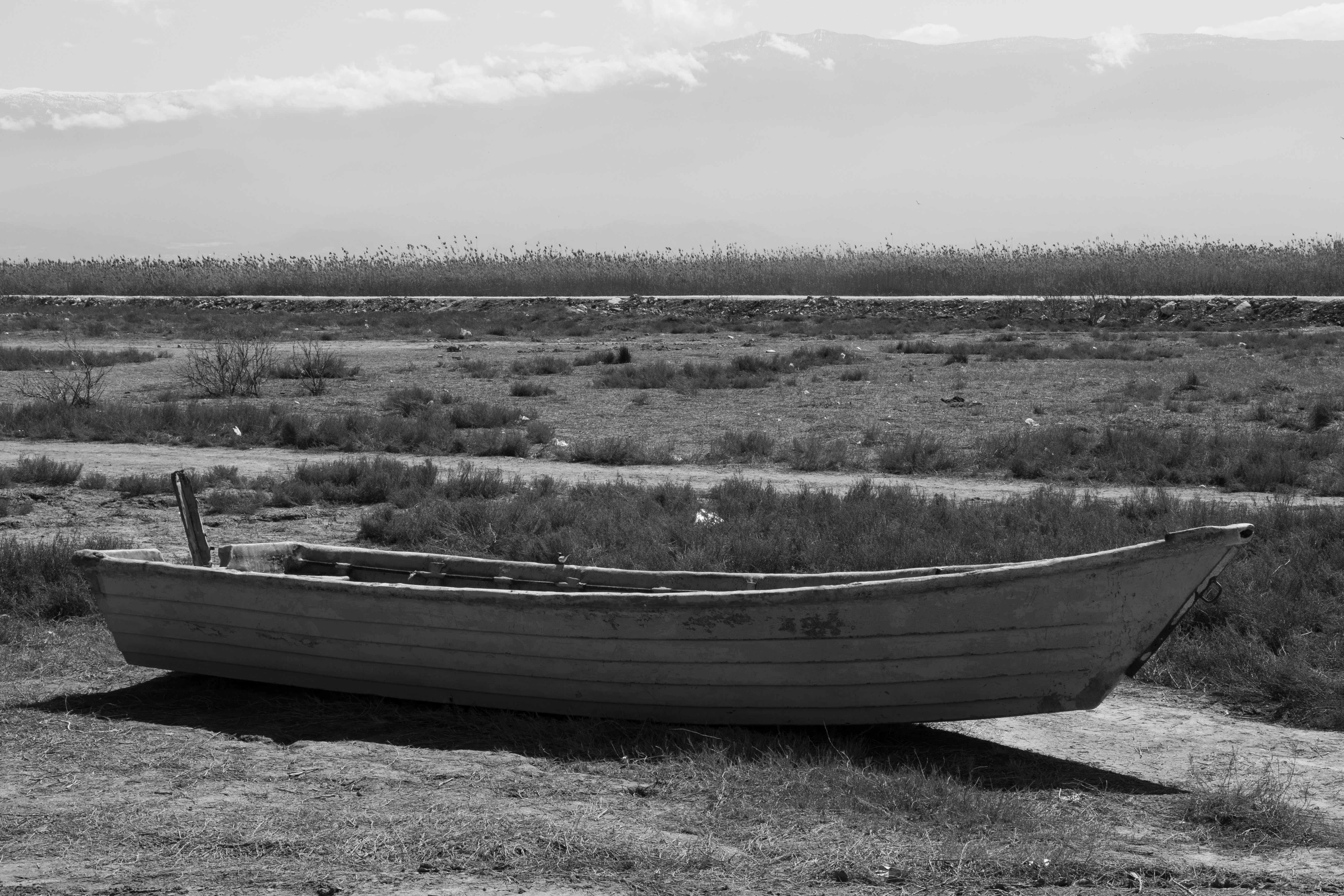 Lonely Boat Resting on a Grass-Dusted Shore