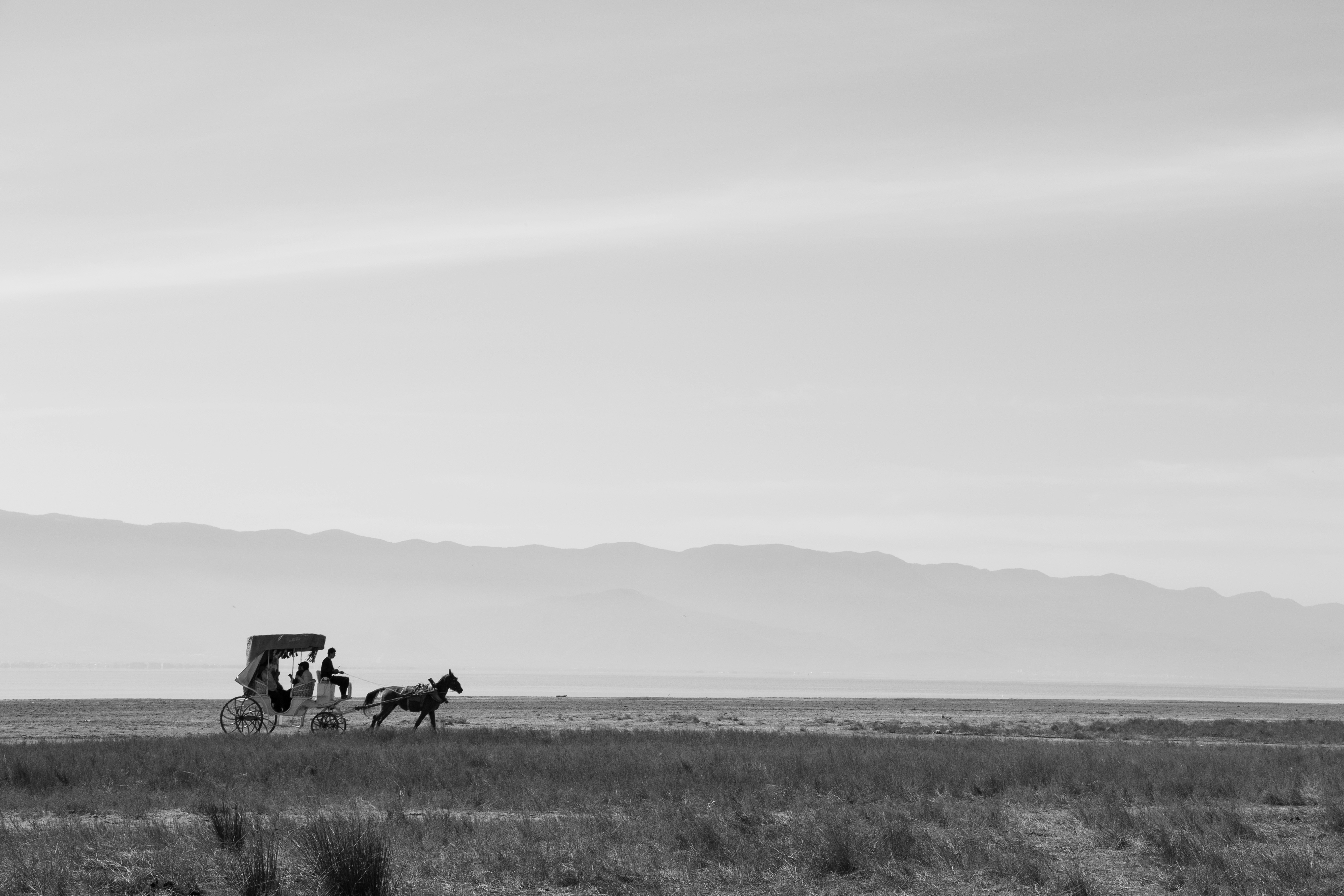 Desert Gleam: A Stagecoach and Horse on the Distant Plain