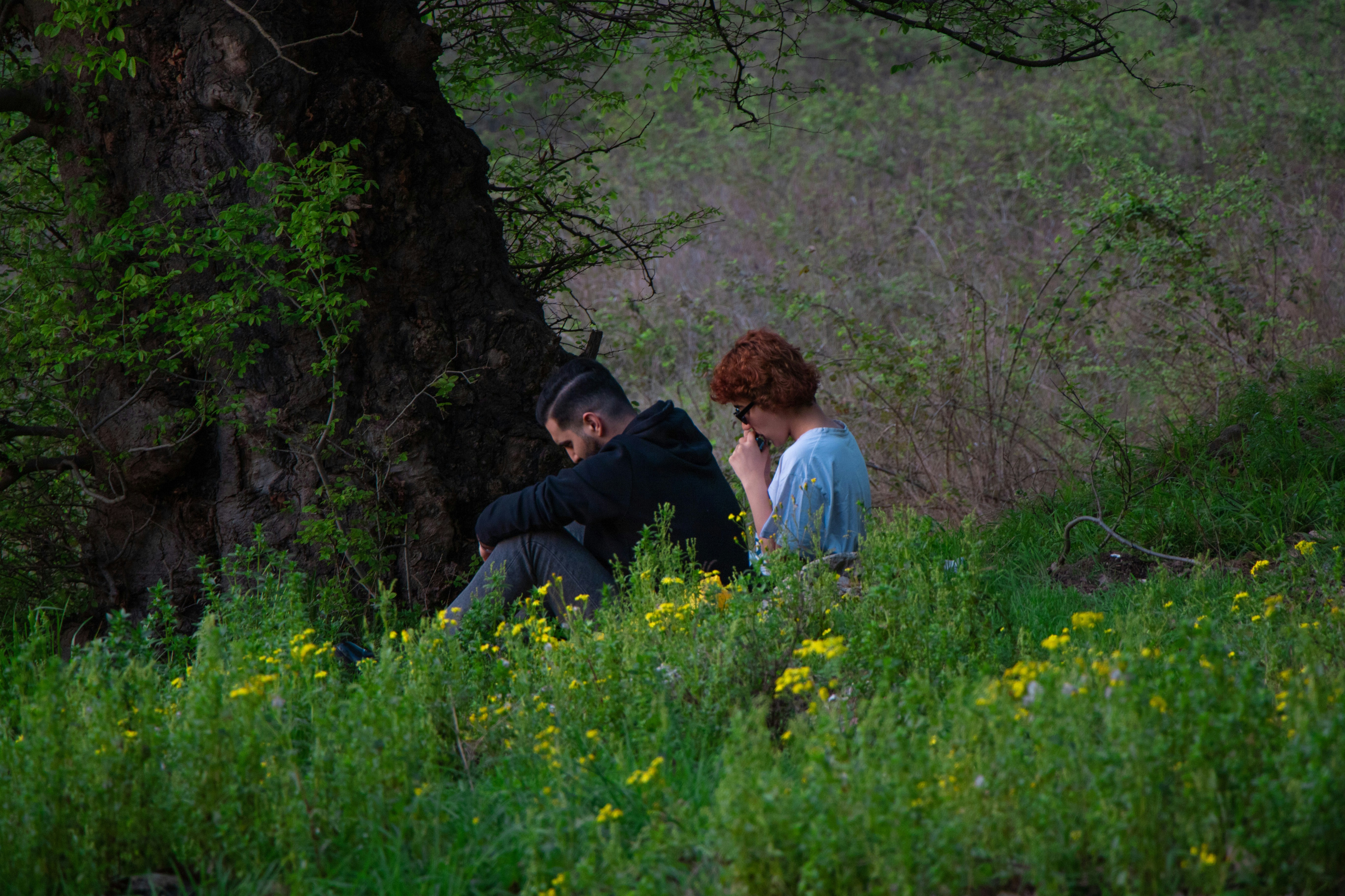 Quiet confidants in a sun-kissed meadow
