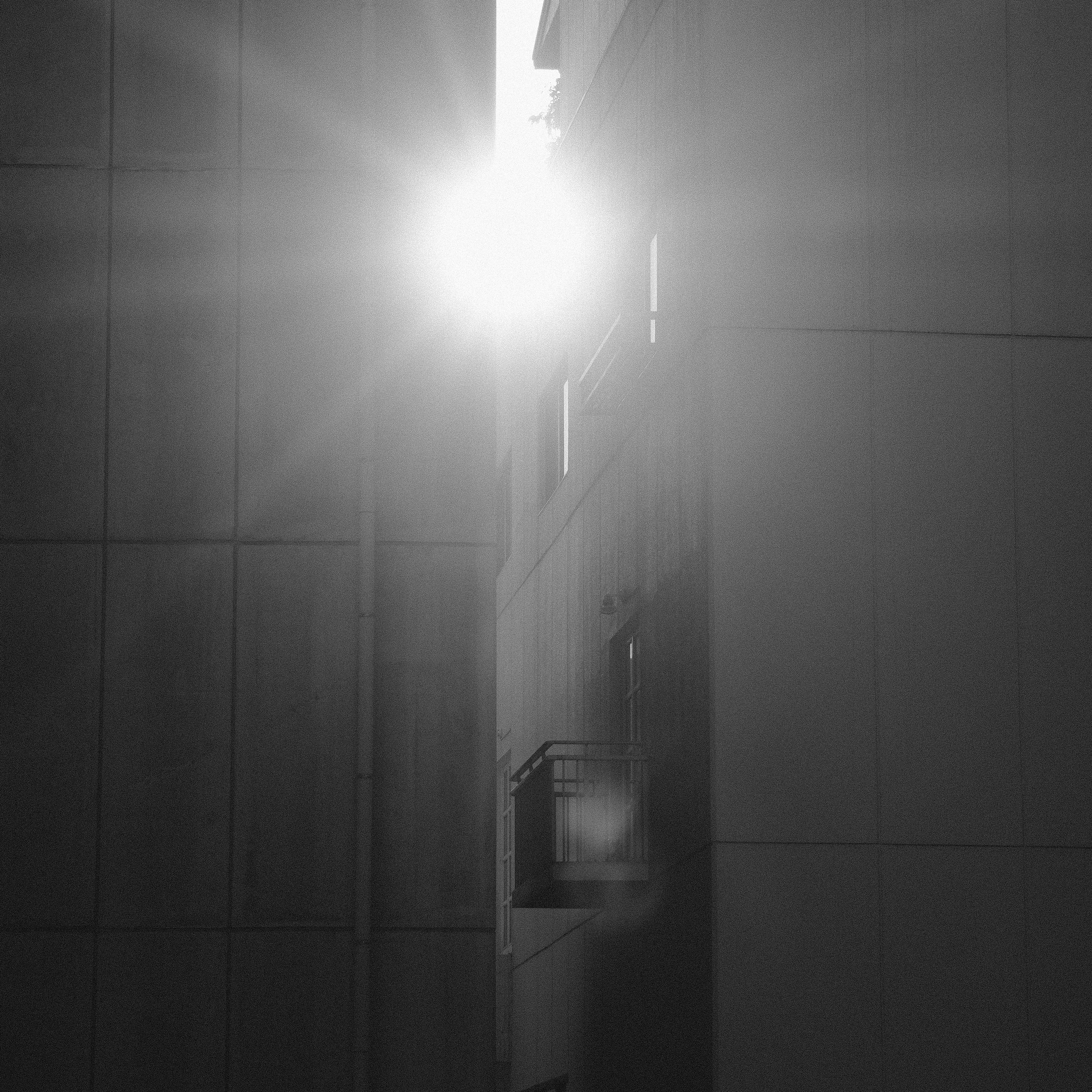 Sunburst Between Concrete Faces