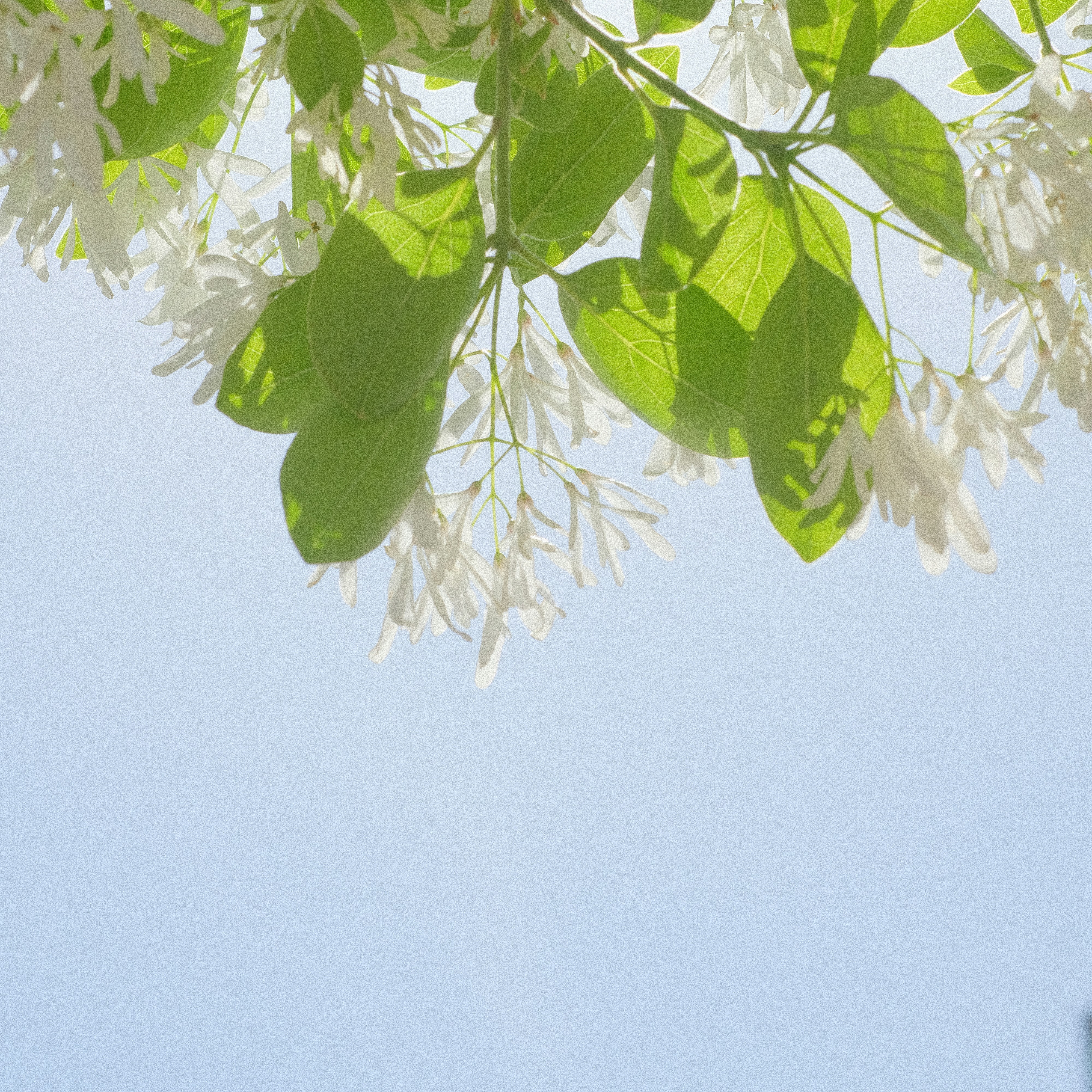Spring | Unsplash