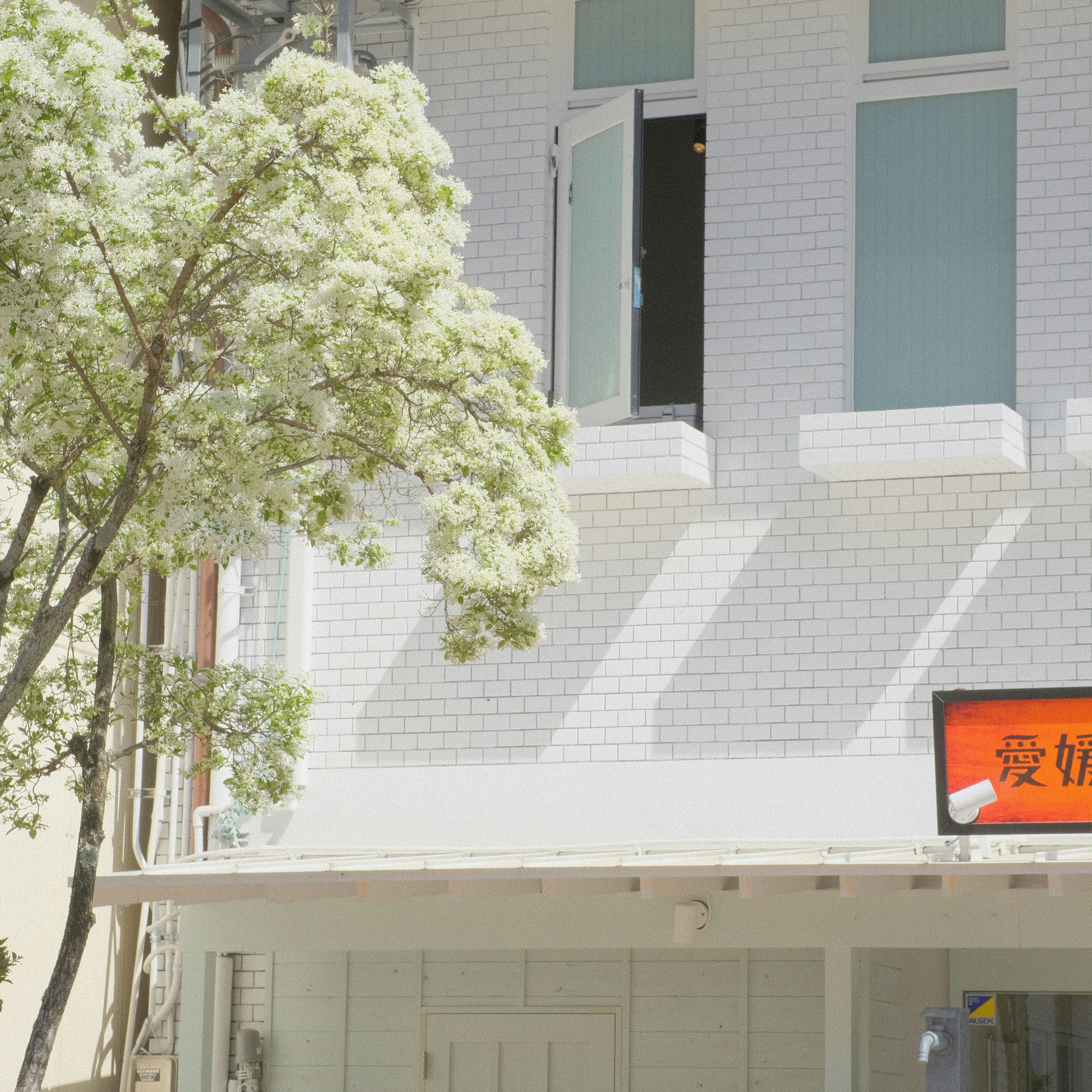 Sunlit Facade and Canopy of Greenery