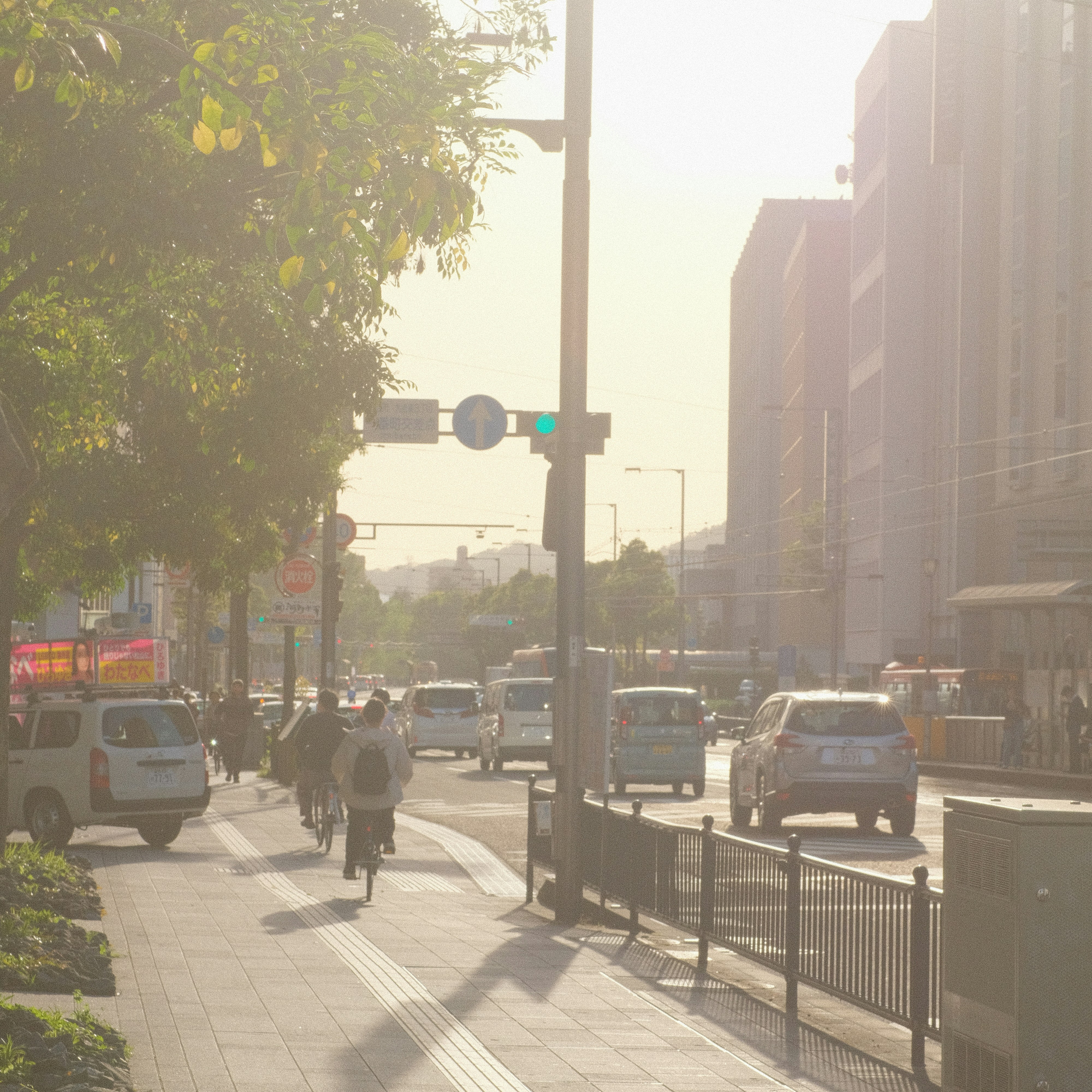 Morning Traffic: Soft Light Seeping Through a City Street